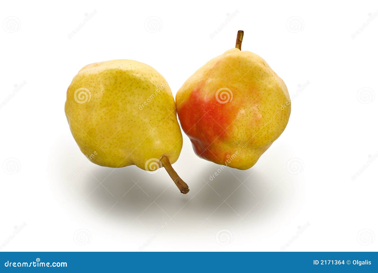 Two pears stock photo. Image of autumn, breakfast, close - 2171364