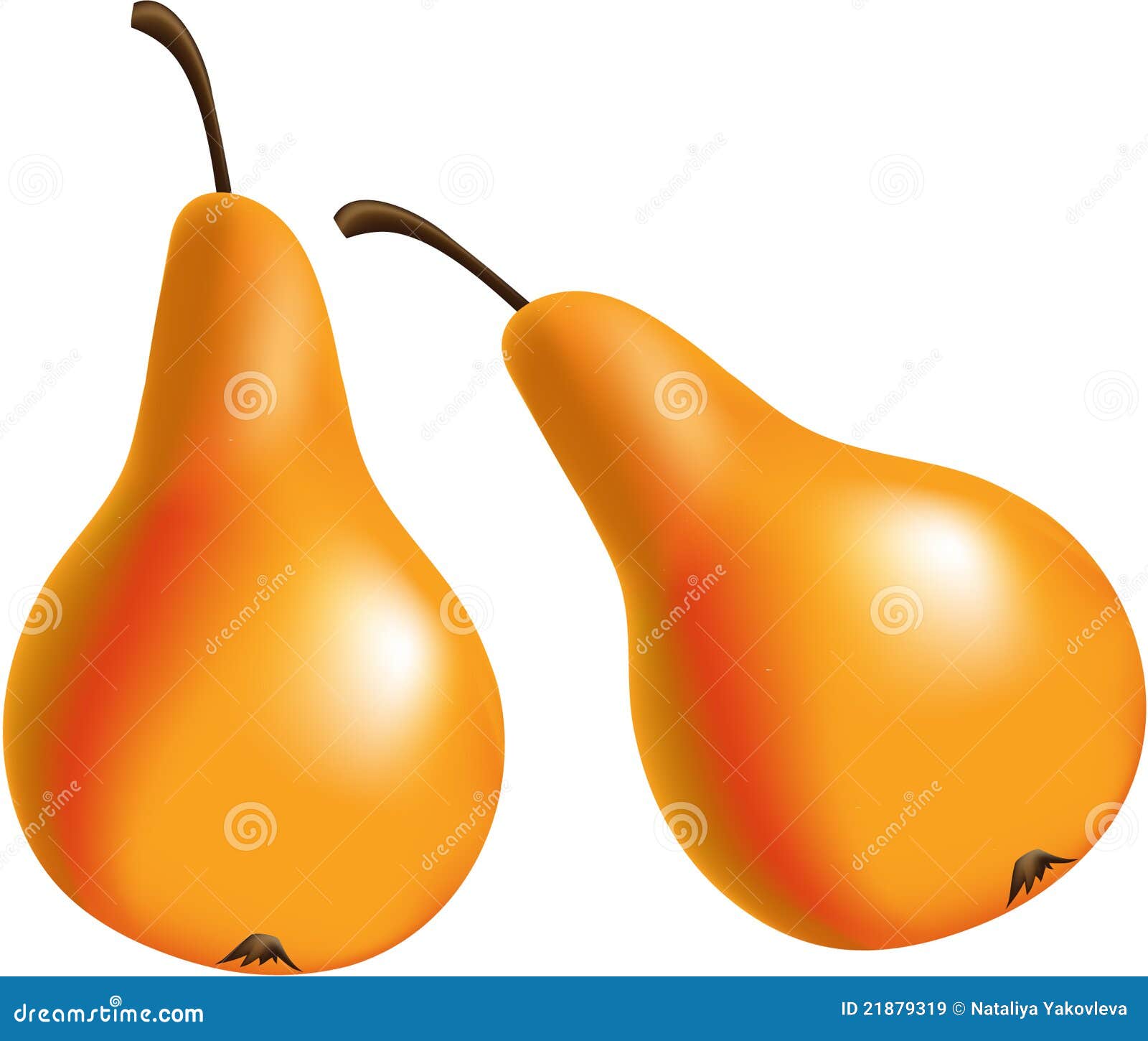 Two pears stock vector. Illustration of natural, diet - 21879319