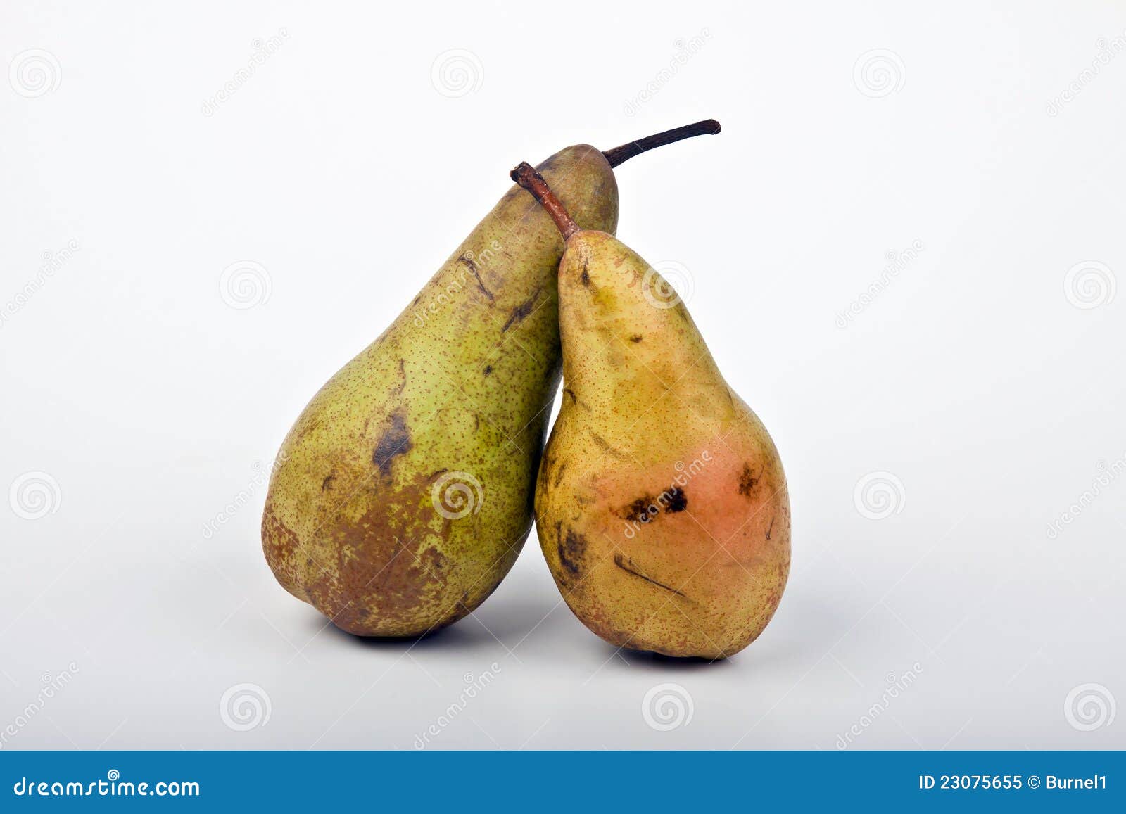 Two pears stock image. Image of juicy, fresh, fealth - 23075655
