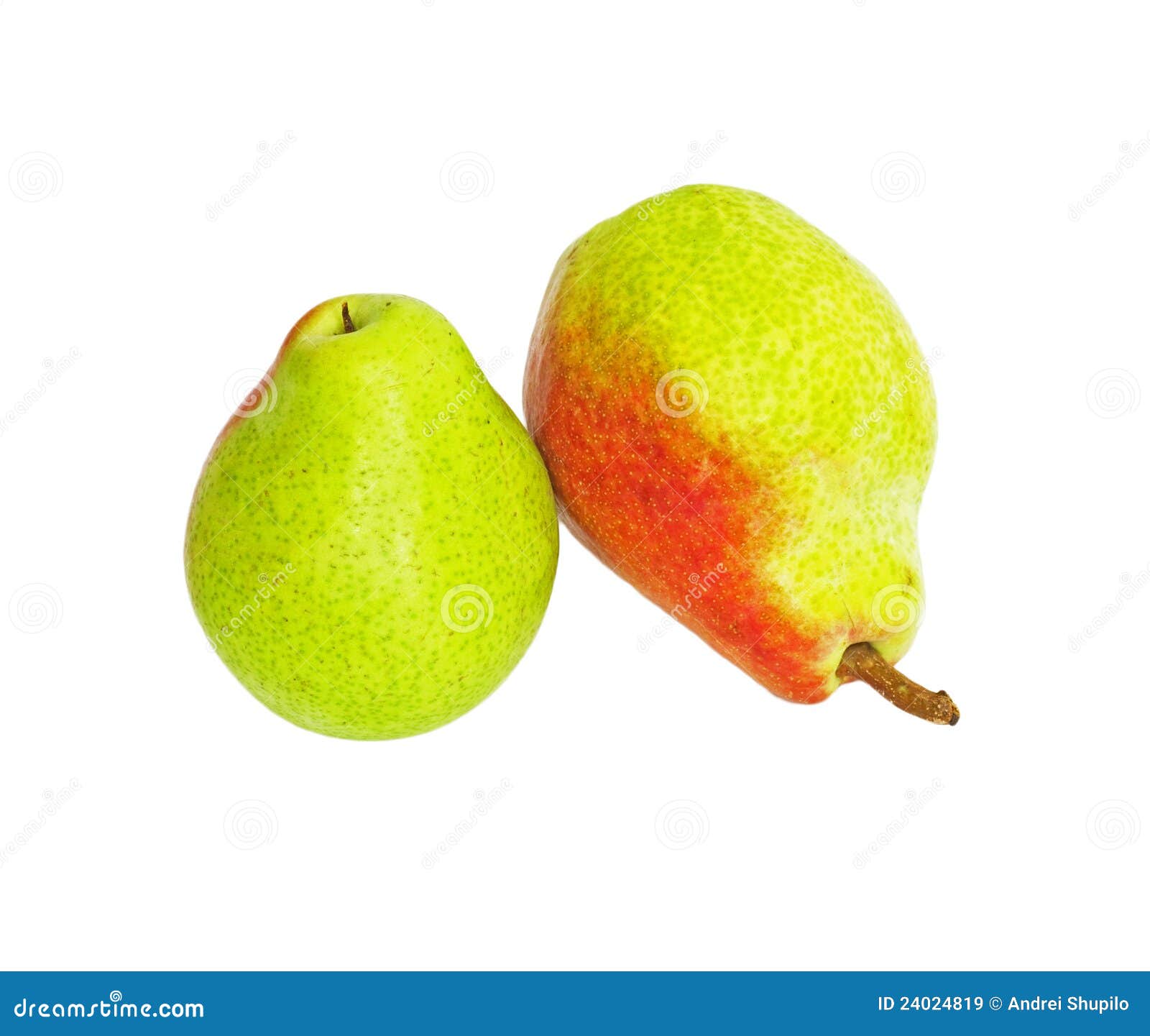Two pears stock image. Image of isolated, food, pear - 24024819