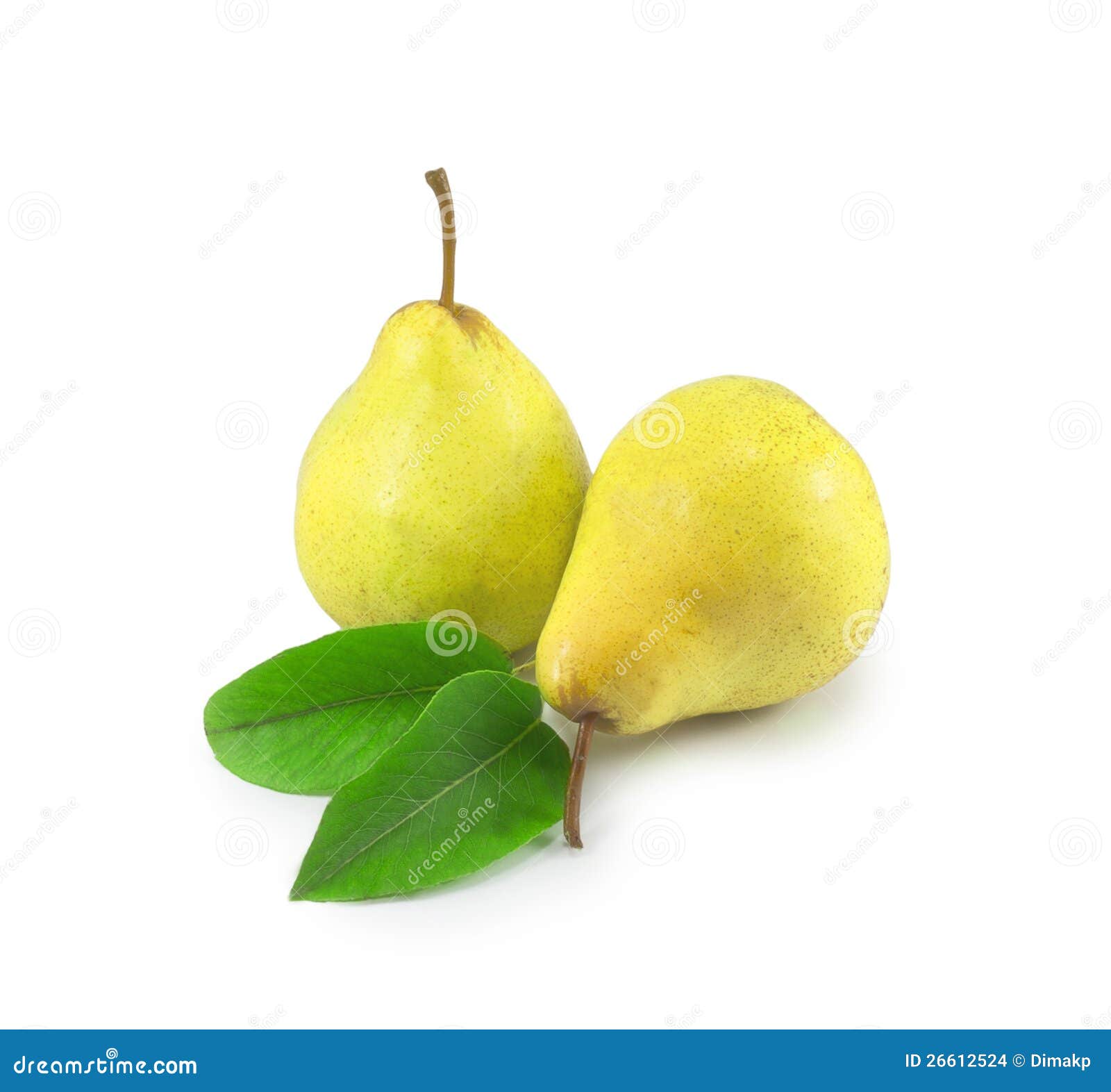 Two pears stock photo. Image of vegetarian, green, nature - 26612524