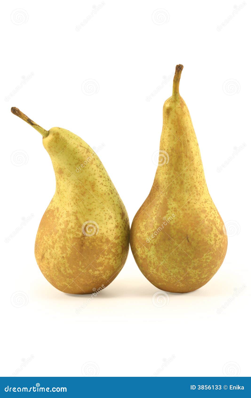 Two pears stock image. Image of tasty, vertical, delicious - 3856133