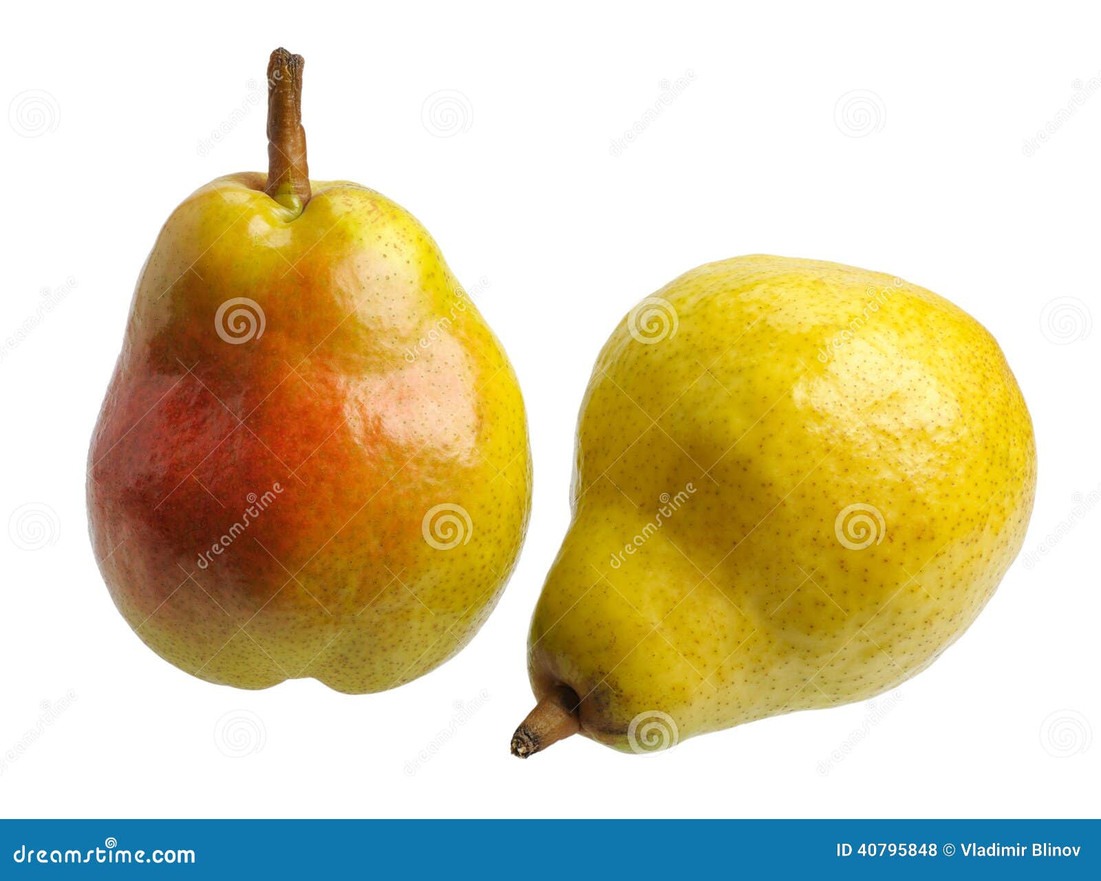 Two pears stock photo. Image of pears, healthy, isolated - 40795848