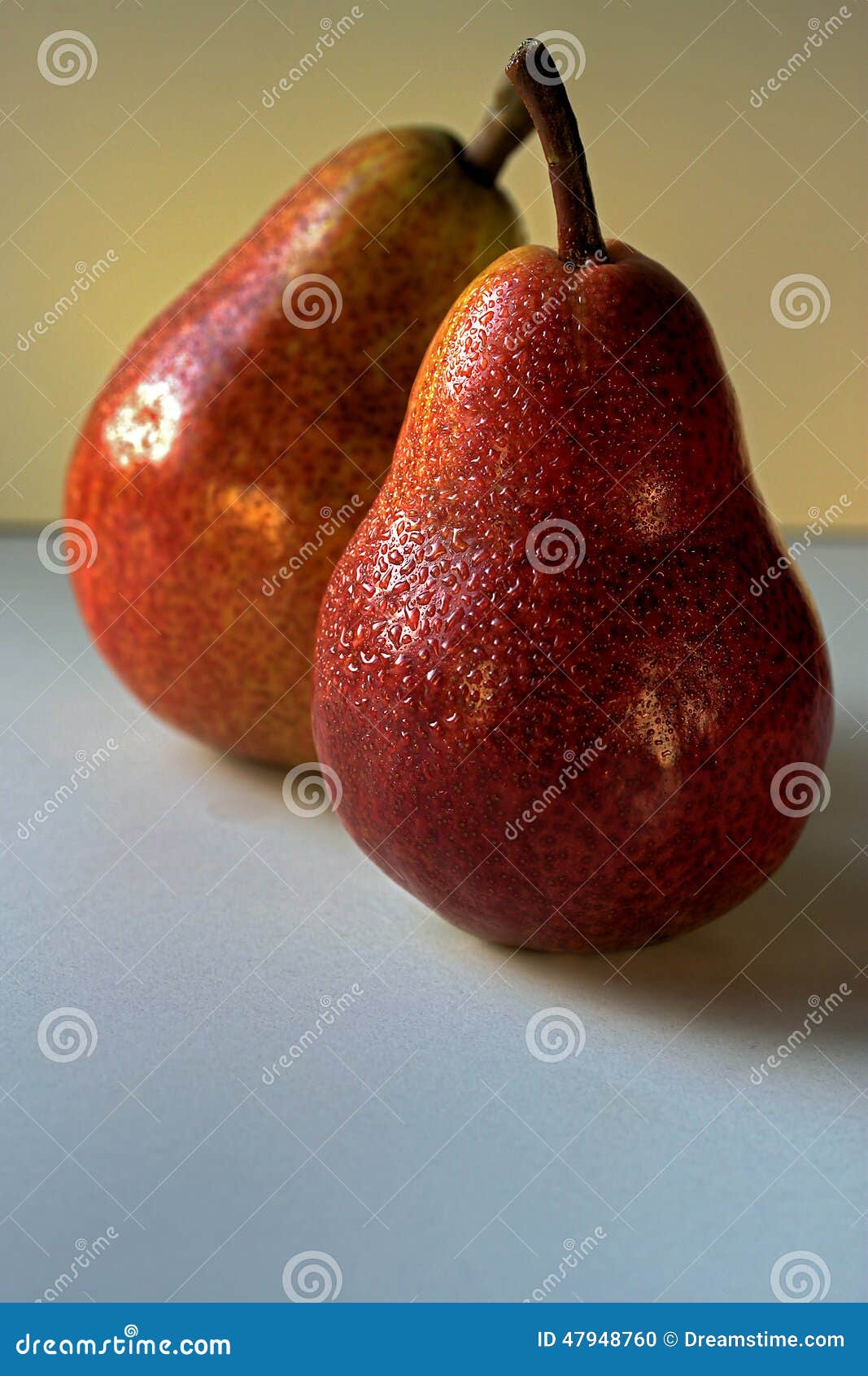 Two pears stock photo. Image of nutrition, nature, pears - 47948760