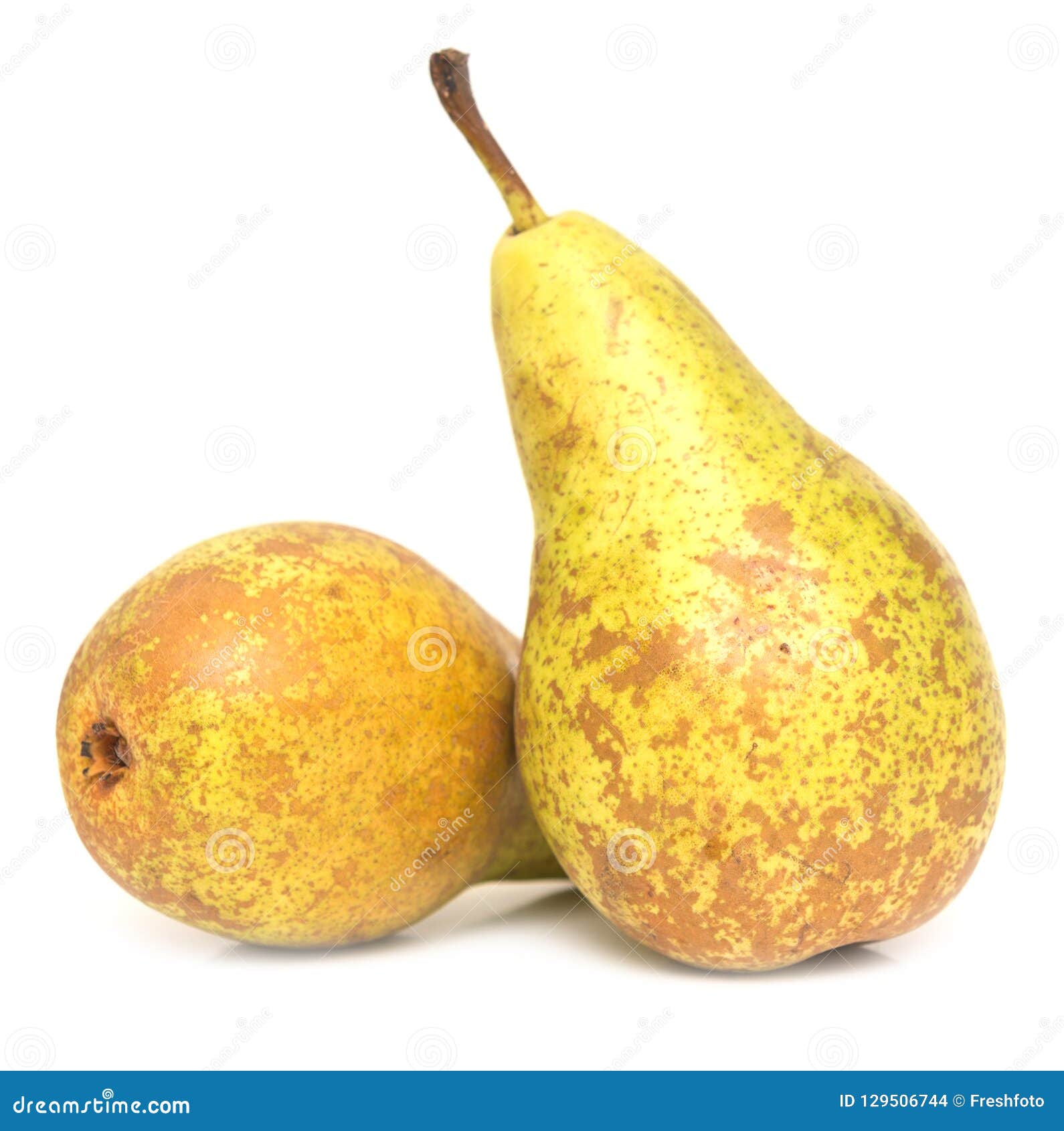 Two pears stock photo. Image of healthy, organic, object - 129506744
