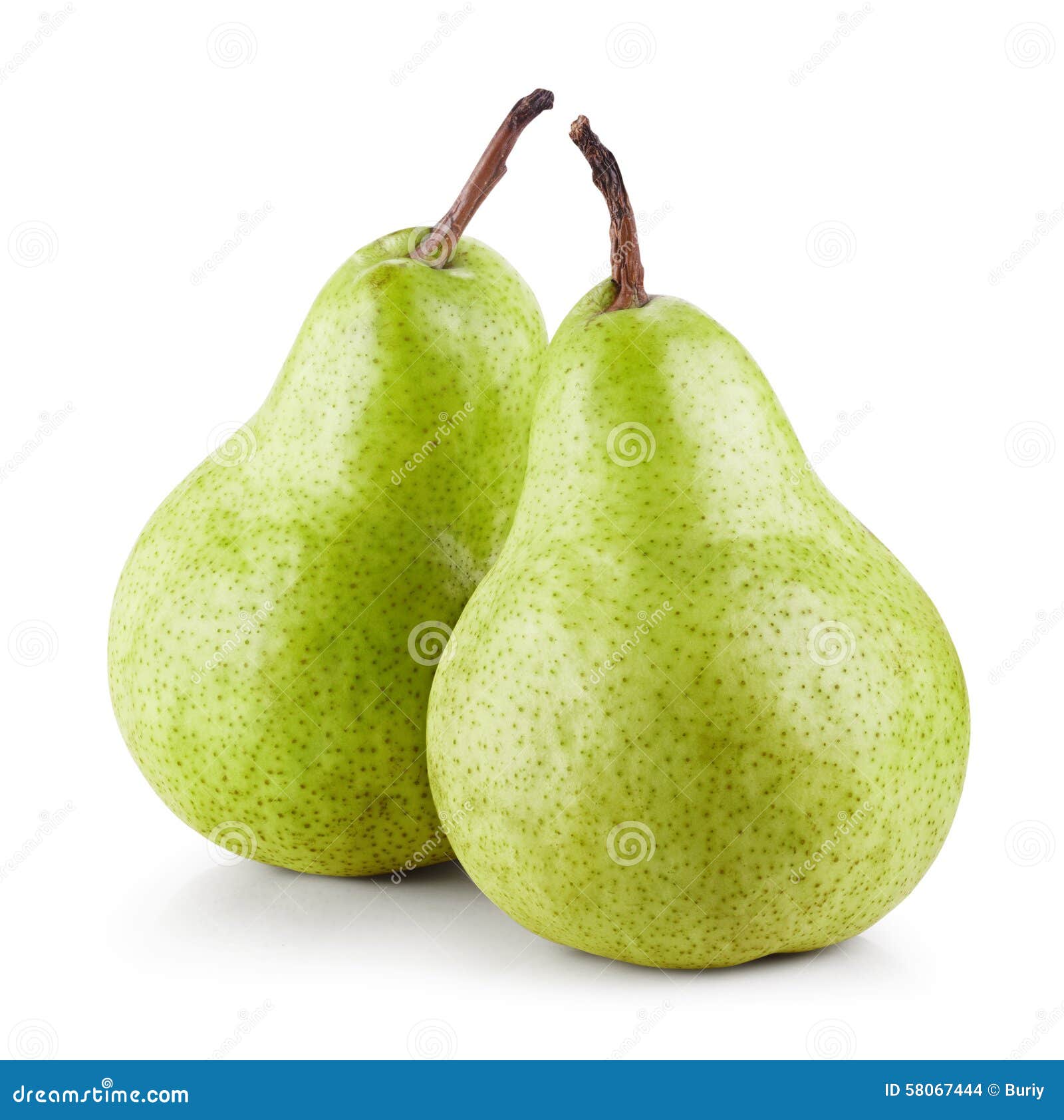 Two pears stock photo. Image of healthy, williams, pear - 58067444
