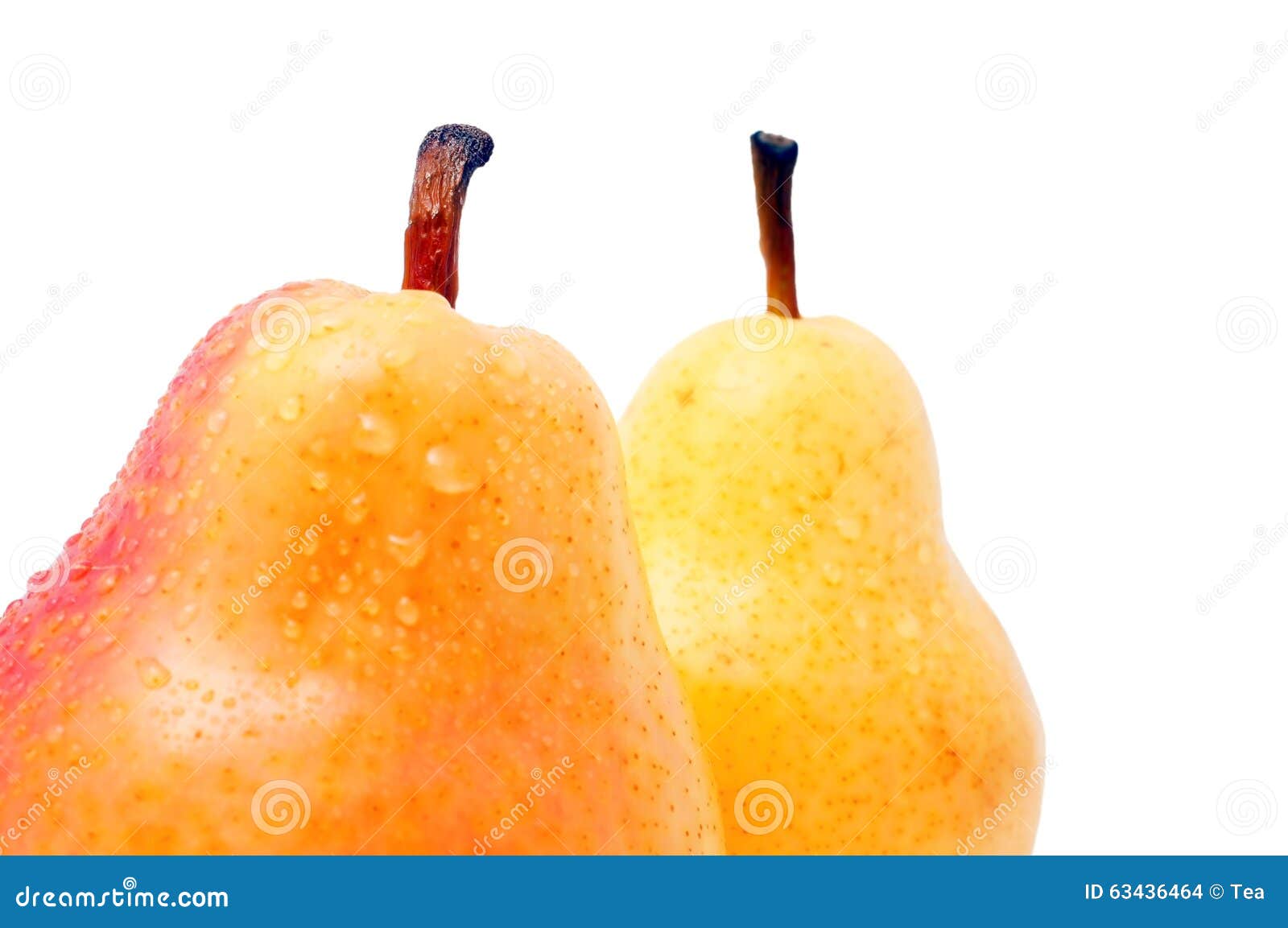 Two pears stock photo. Image of colorful, organic, studio - 63436464