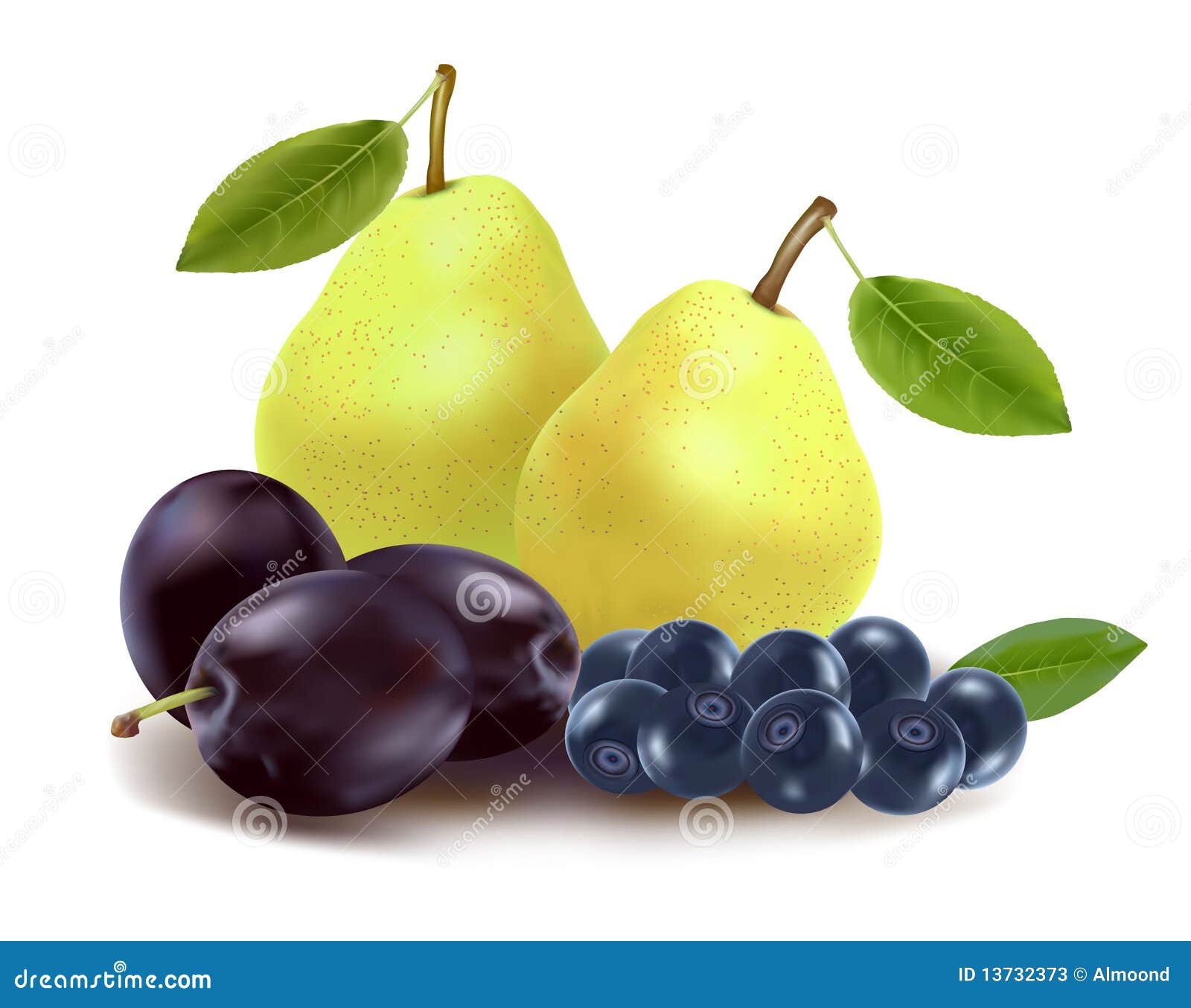 Two Pears, Plums and Blueberries. Stock Vector - Illustration of ...