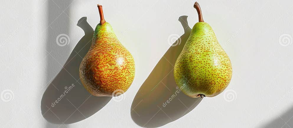 Two Pears Resting on White Wall Stock Photo - Image of edible, pair ...