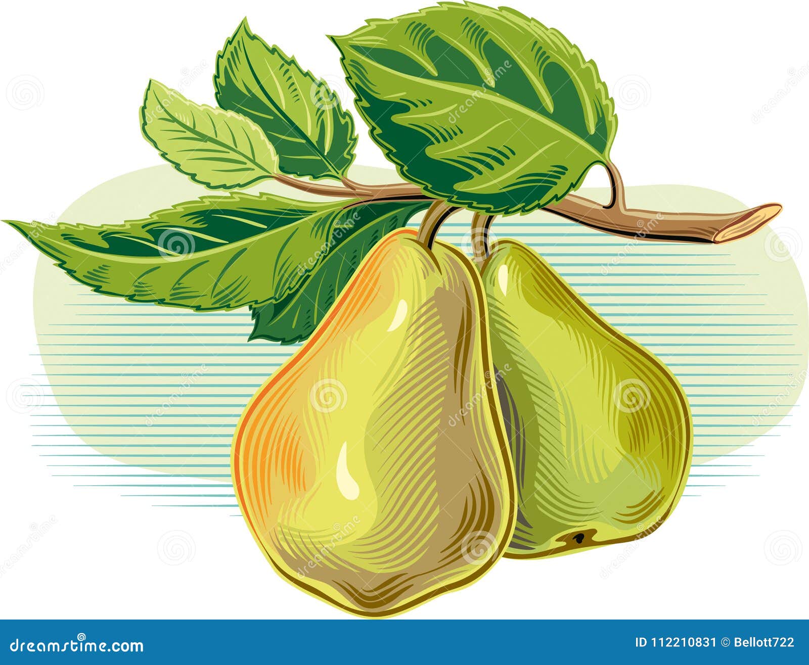 Two Red Pears Vector Illustration | CartoonDealer.com #52487540