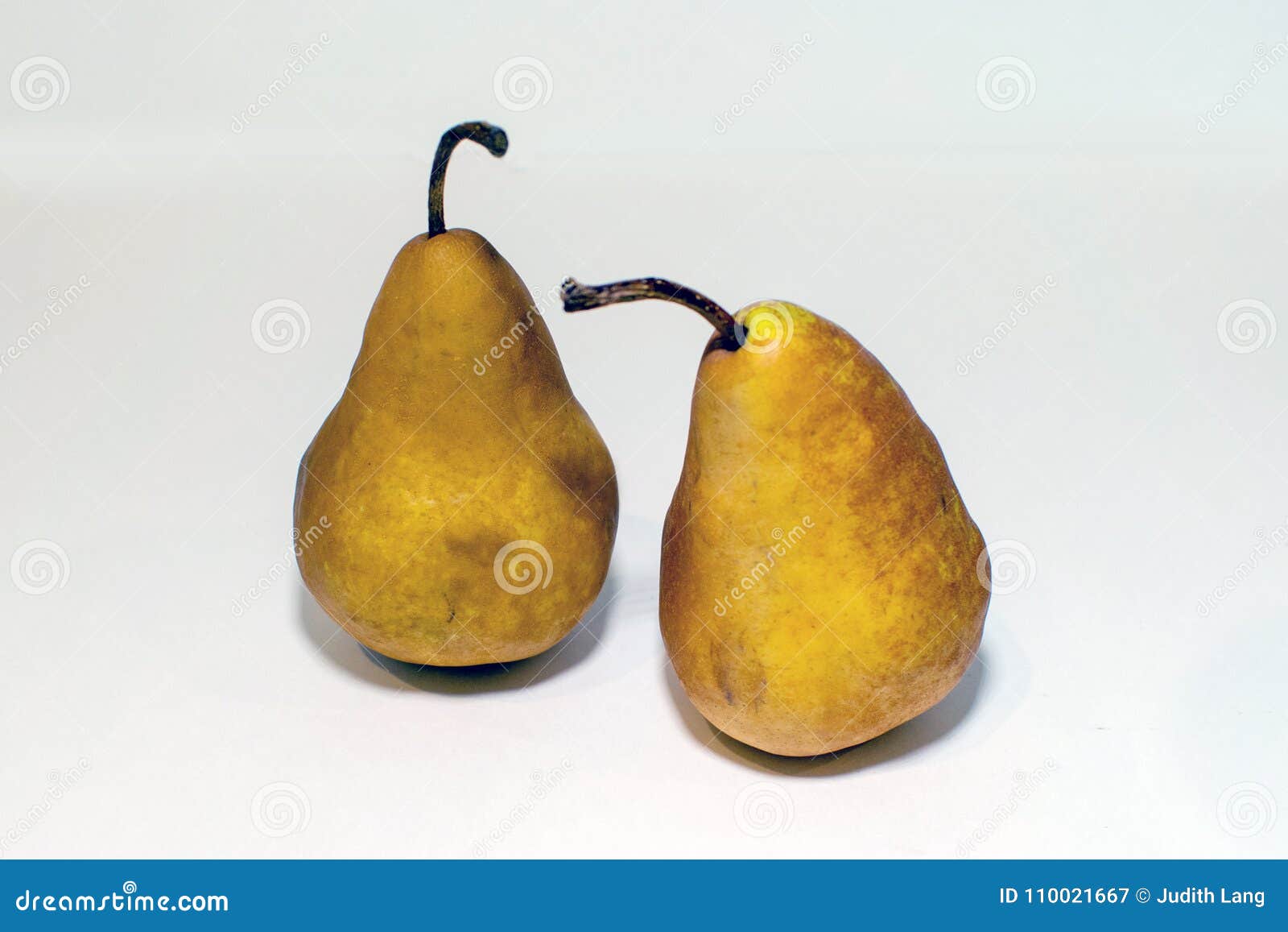 Two Pears Standing Tall on White Background Stock Image - Image of ...