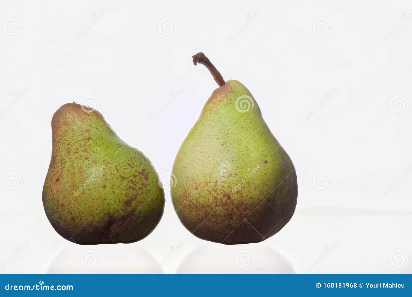 Two pears stock photo. Image of juicy, fruits, nutrition - 160181968
