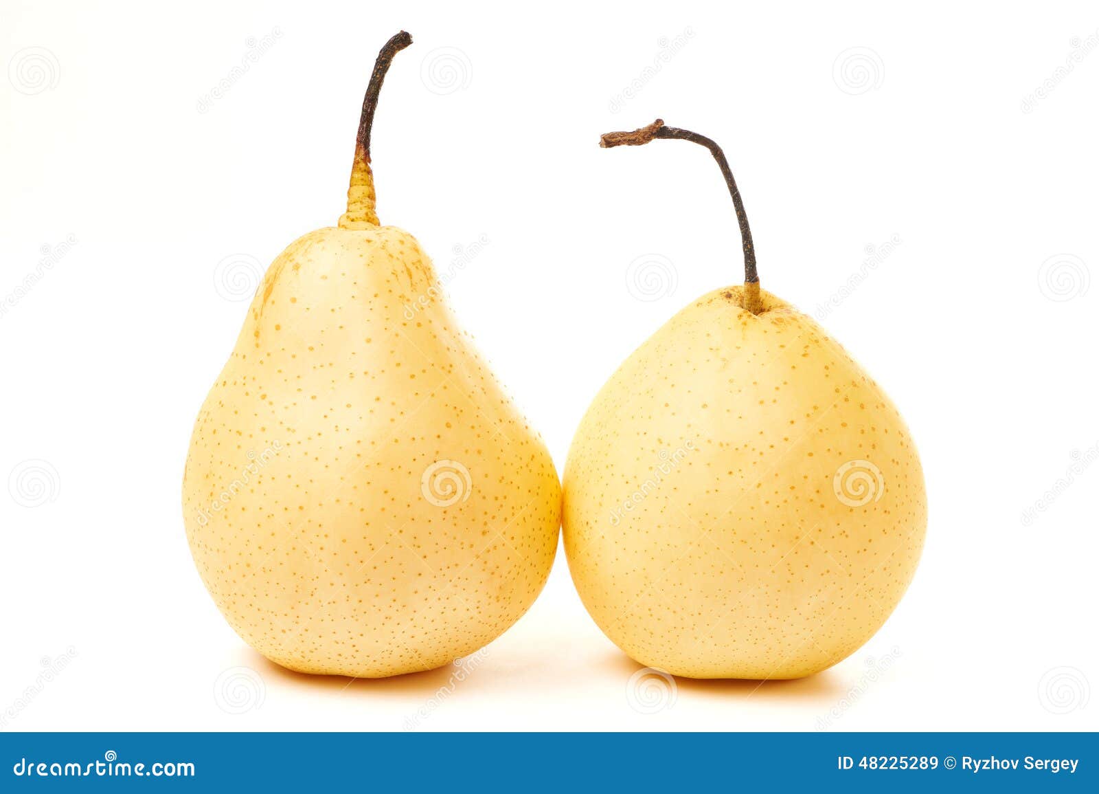 Two pears stock image. Image of diet, nutrition, sweet - 48225289