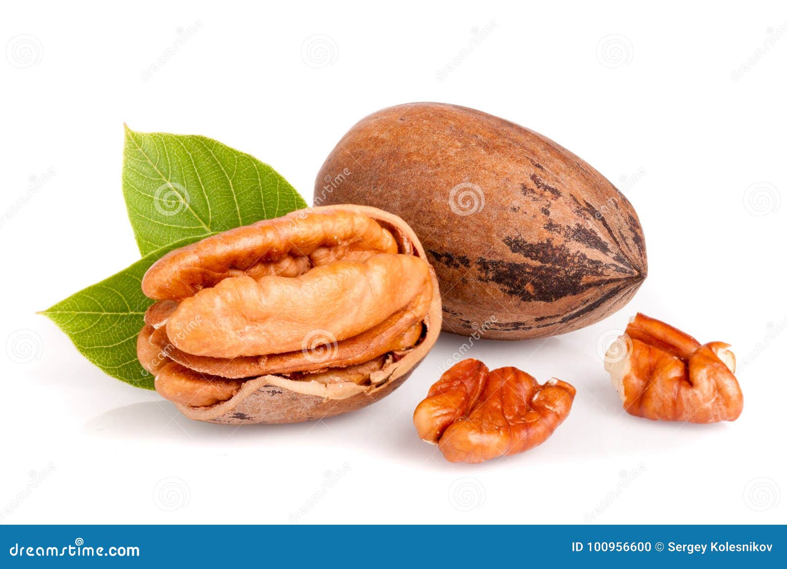 Two Pecans Leaves White Background Stock Photos - Free & Royalty-Free ...