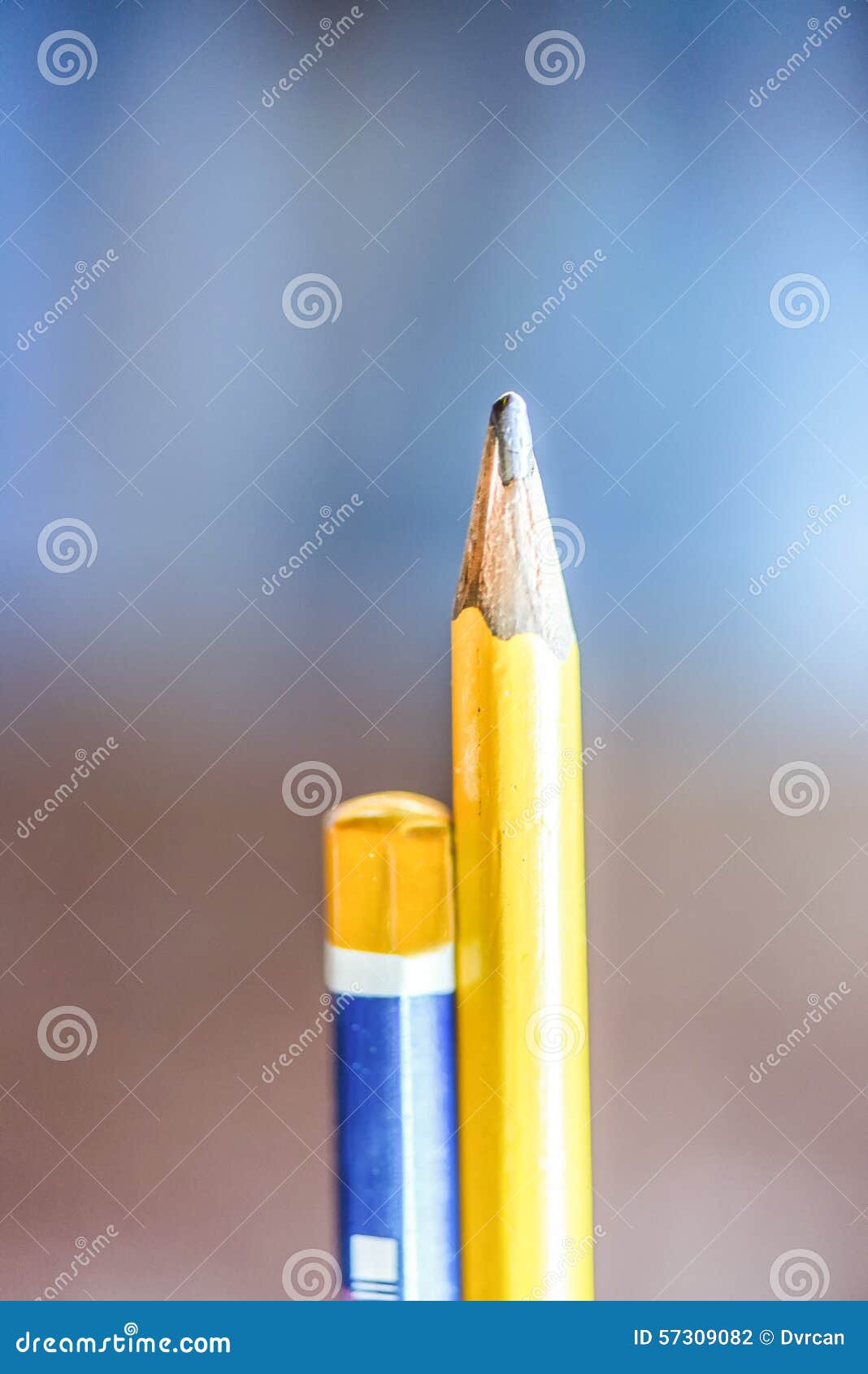 Two pencils stock photo. Image of sharp, shadow, graphite - 57309082