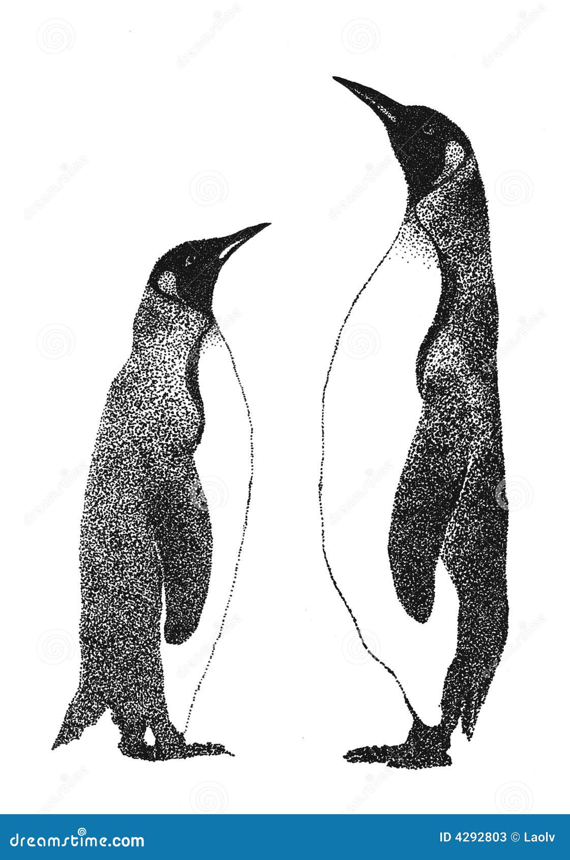 Two penguins stock illustration. Illustration of look - 4292803