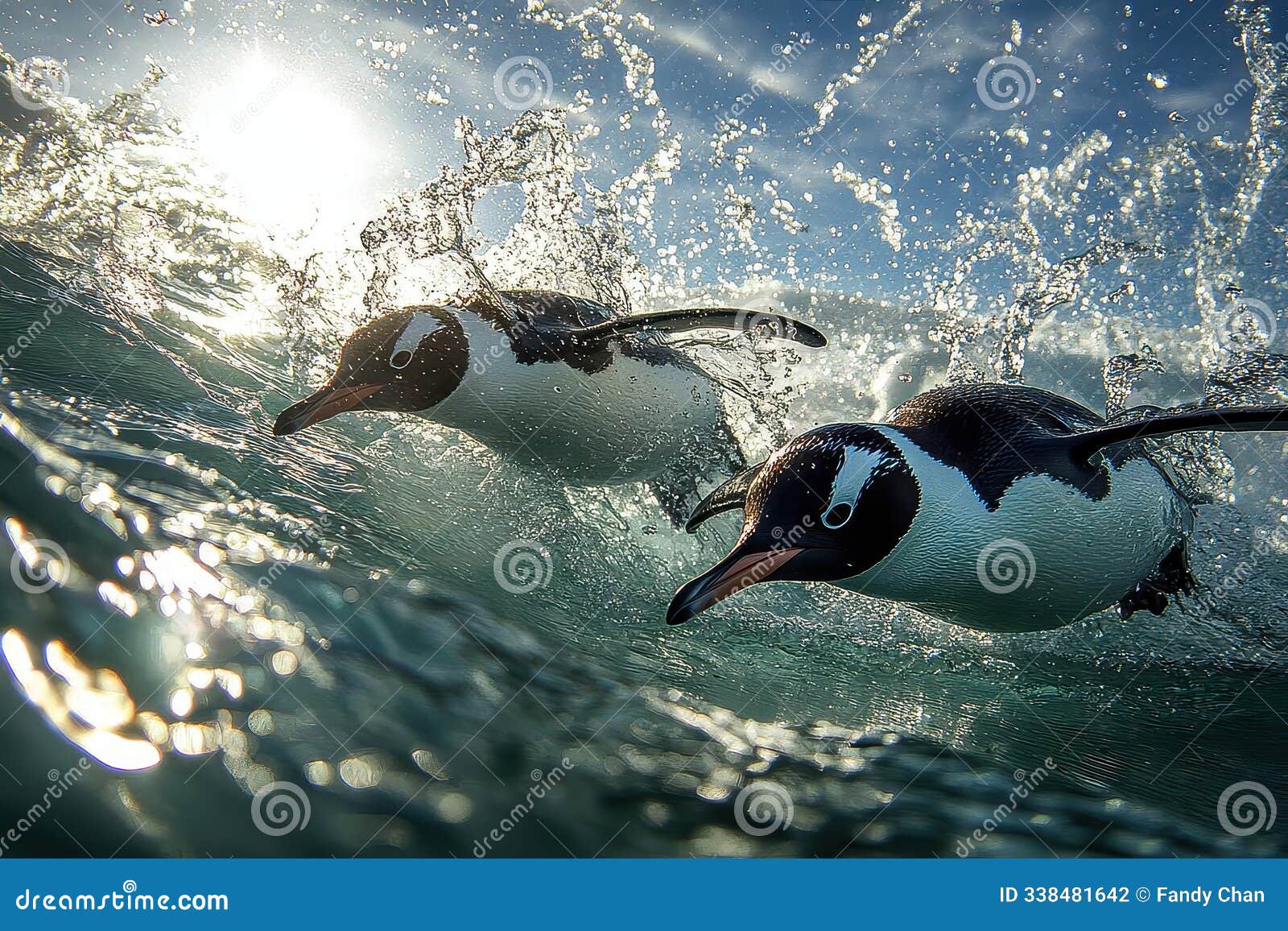 Two Penguins Diving into Ocean Water with Splash Stock Illustration ...
