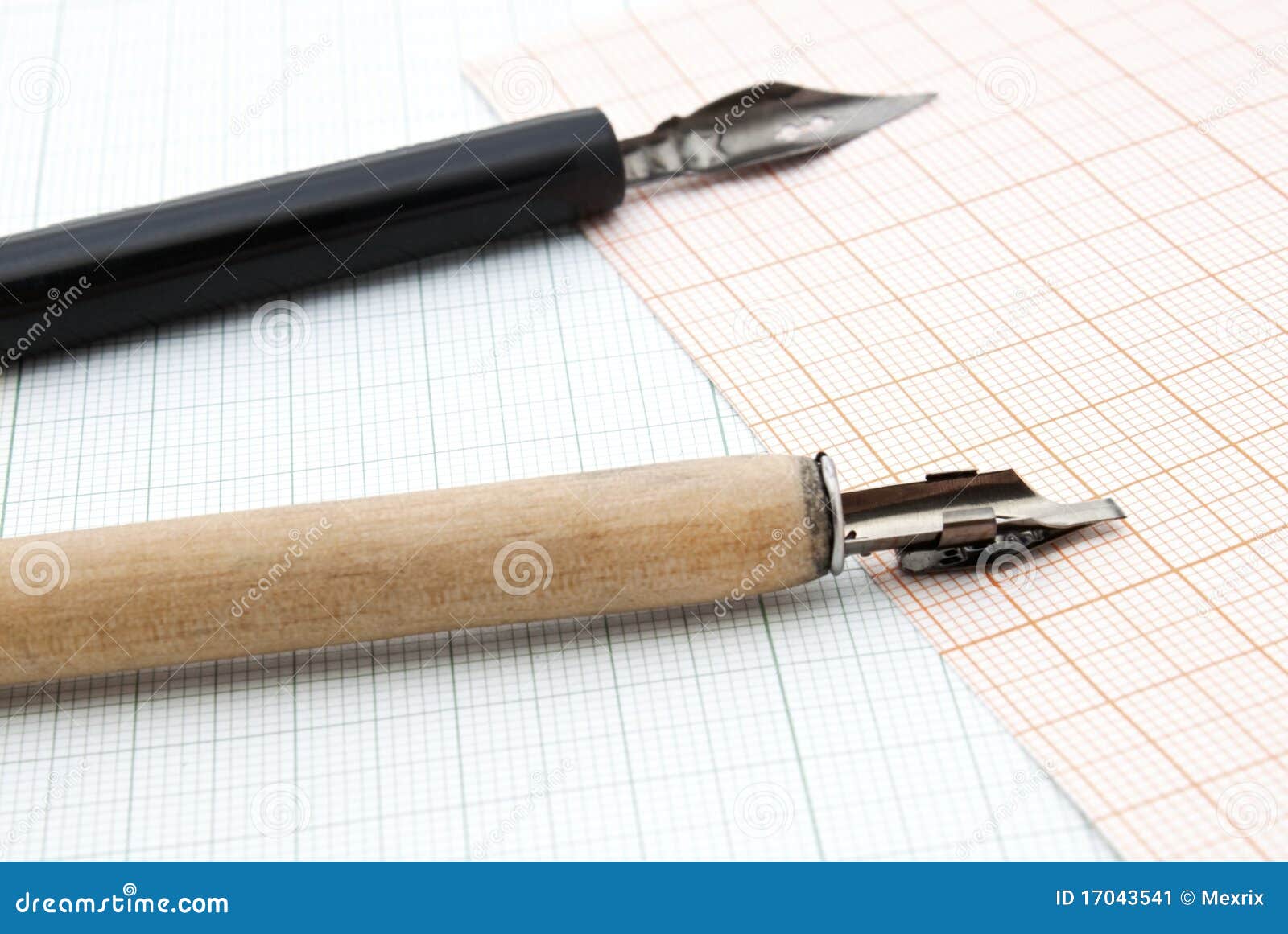 Two pens for calligraphy stock image. Image of golden - 17043541