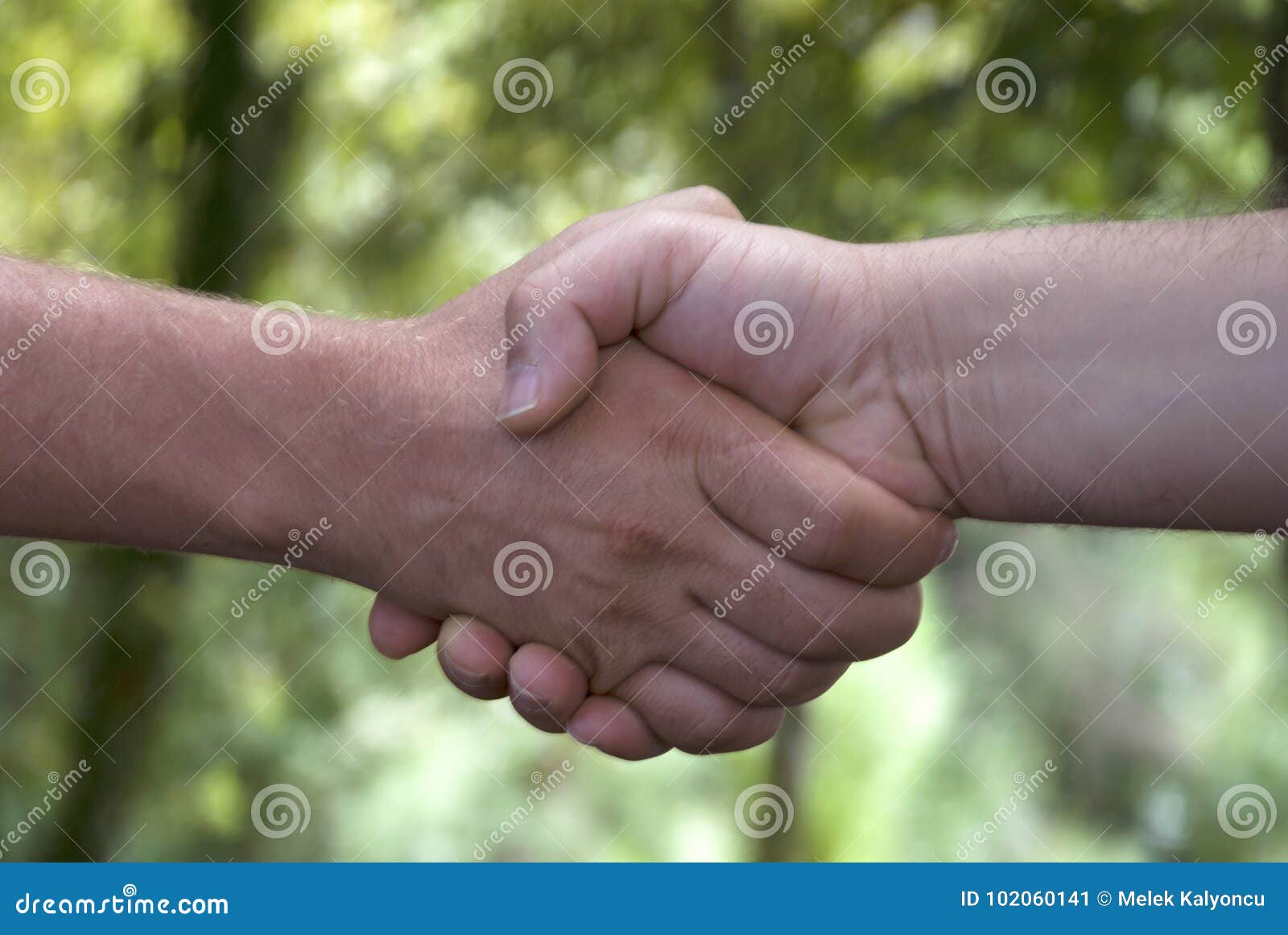 Handshake stock image. Image of formal, future, congratulation - 102060141