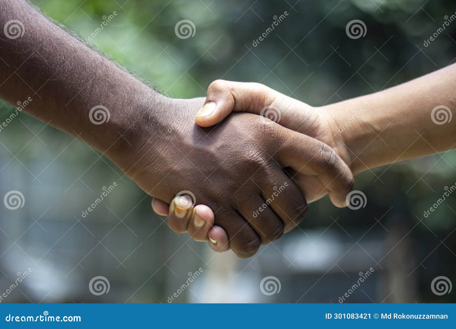 Two People Doing Handshake and Blurred Background Stock Image - Image ...