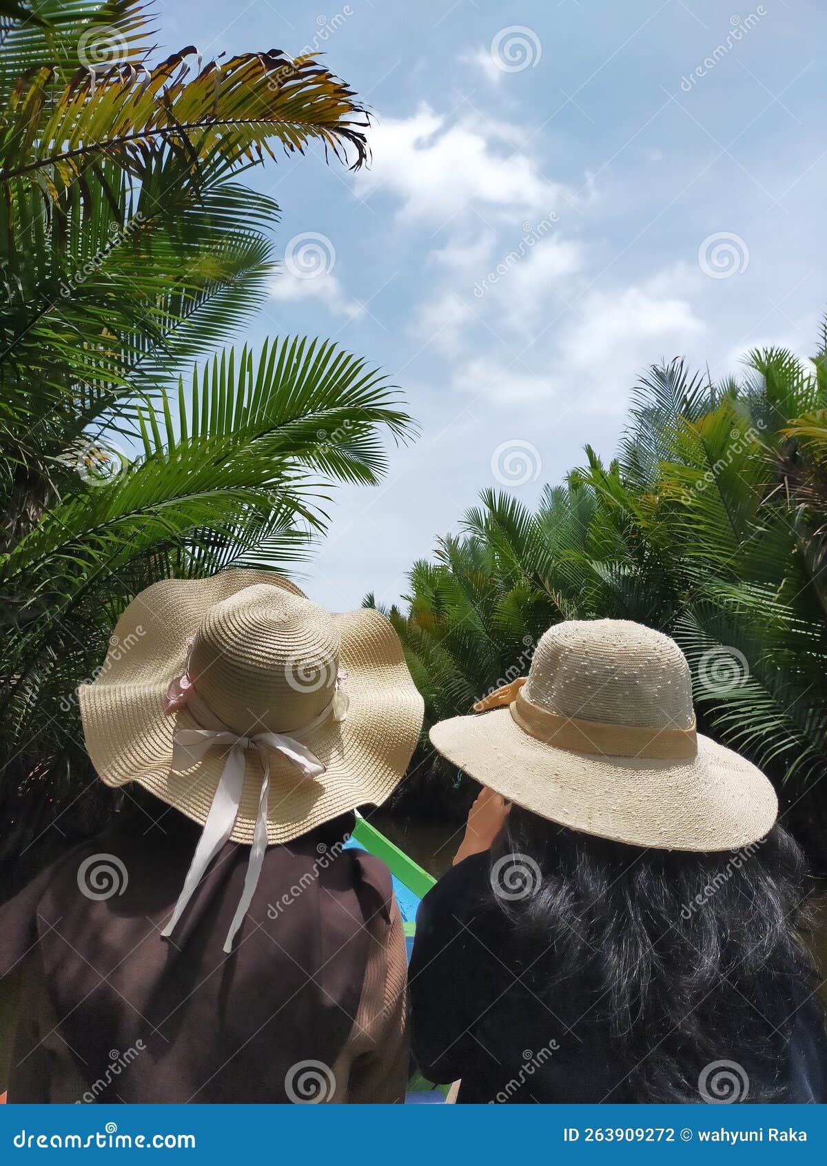 Two People Enjoying the Greenery of Nature Under the Bright Sun Stock ...