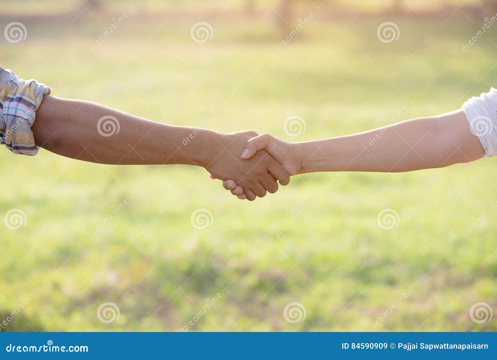 Two People Handshake in the Garden Fields Stock Image - Image of ...