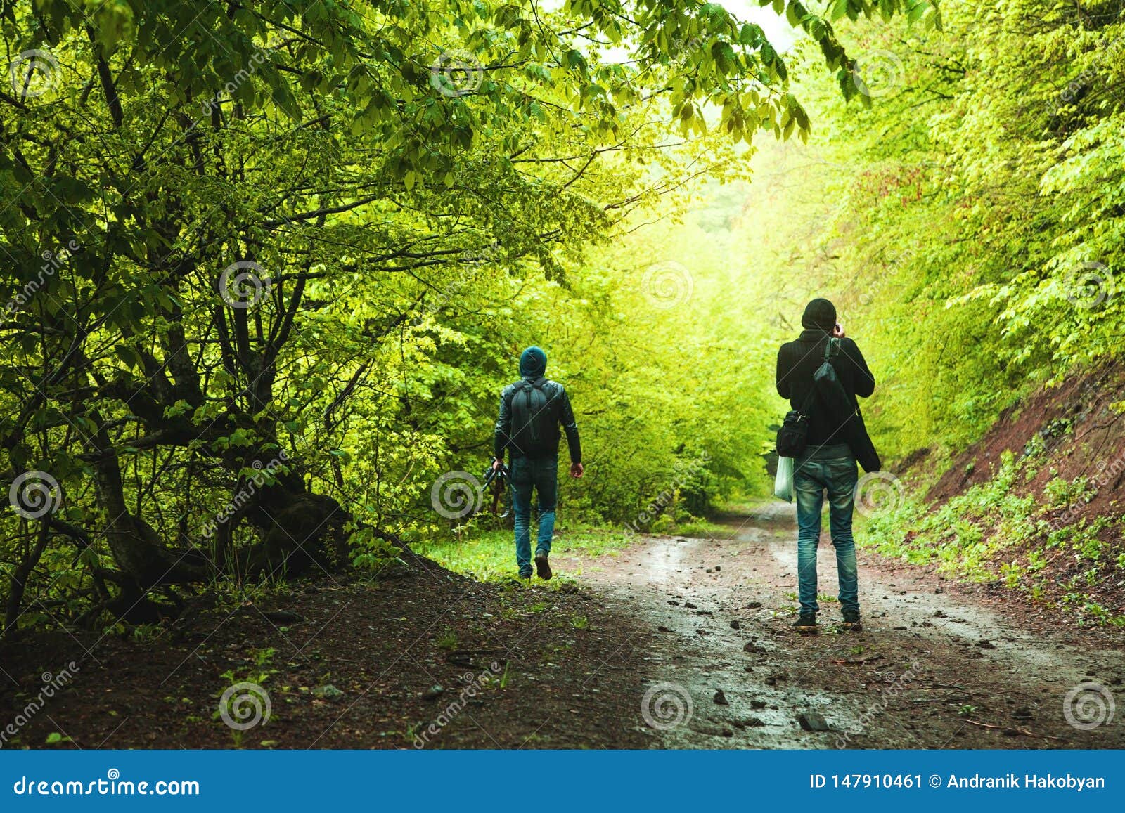 Two People Walking in the Spring Forest Editorial Photo - Image of ...