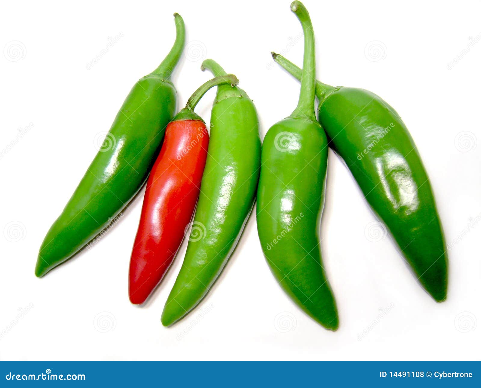 Two peppers stock photo. Image of peppers, produce, detail - 14491108