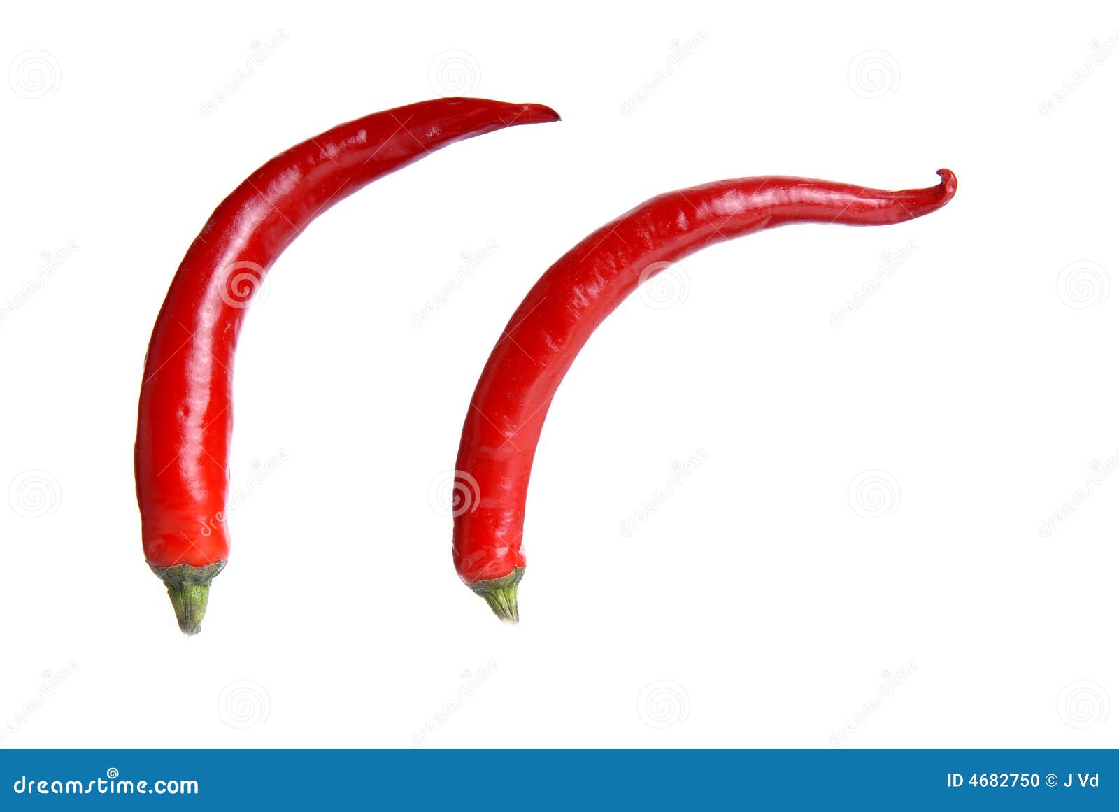 Two peppers stock photo. Image of mexican, chili, eating - 4682750