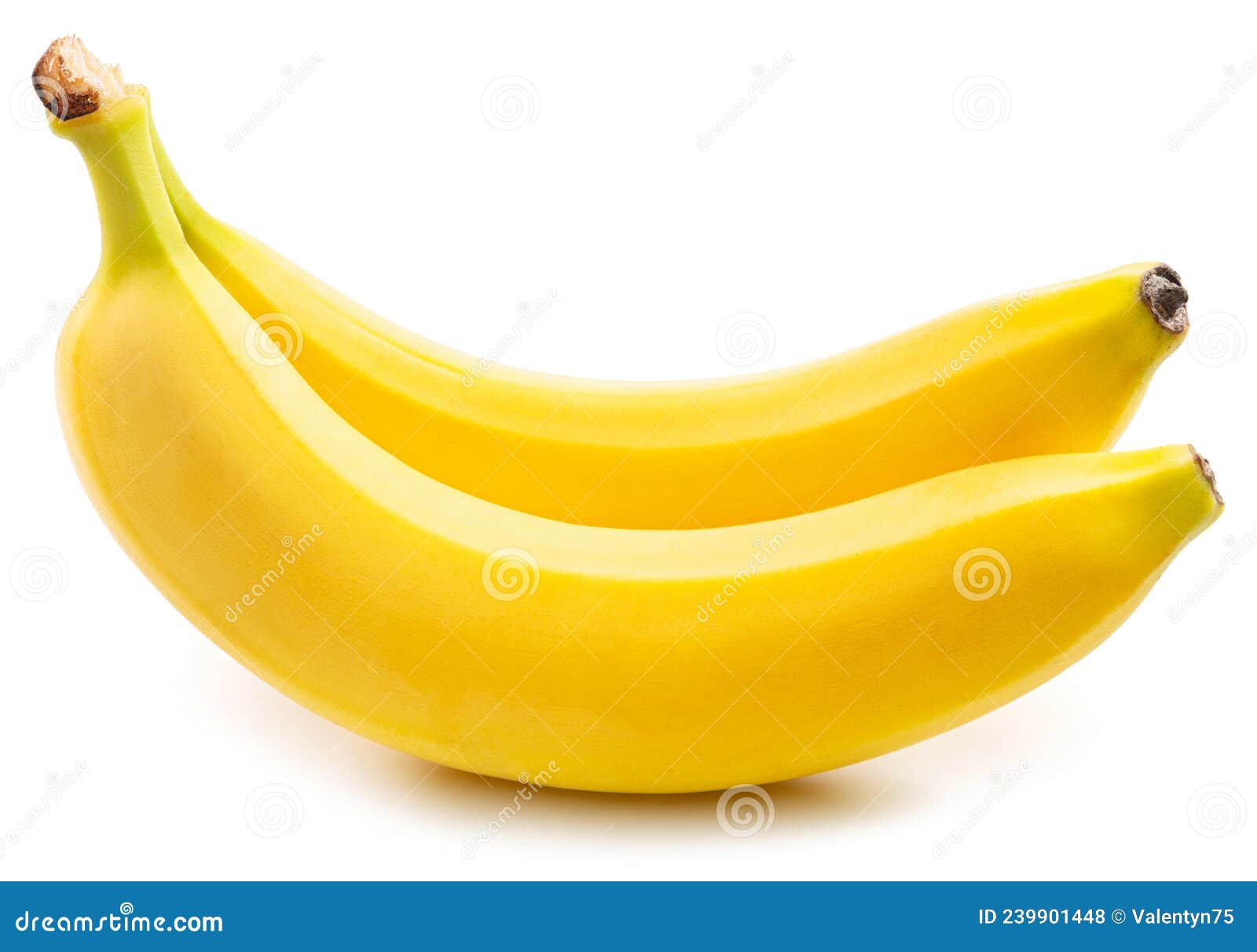 Two Perfect Ripe Yellow Bananas Isolated on White Background Stock ...