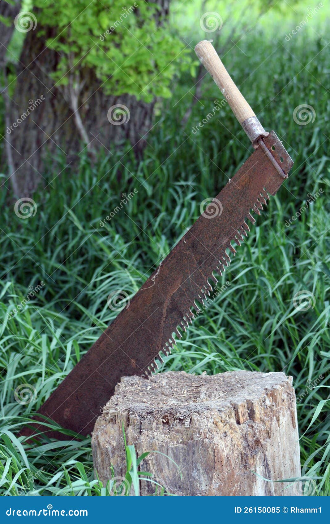 Two Person Cross Cut Saw stock image. Image of nature - 26150085