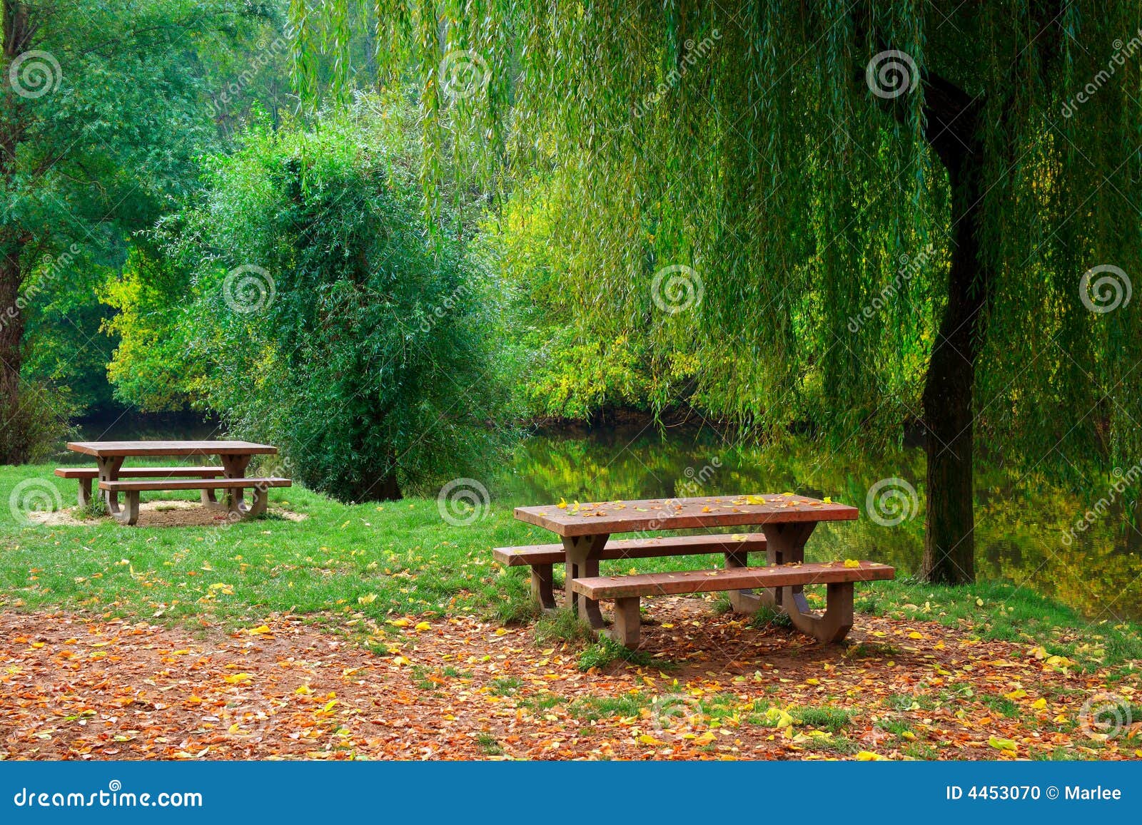 Two Picnic Tables by the River Stock Photo - Image of river, idyllic ...