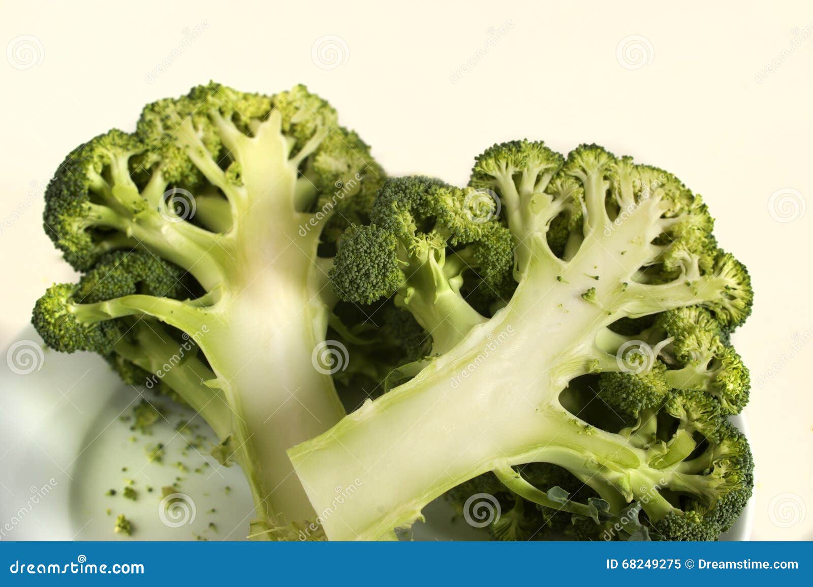 Two pieces of brocoli stock image. Image of healthy, tasty - 68249275