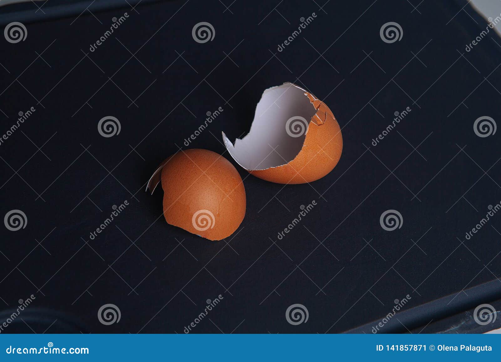 Two Pieces of Broken Egg Shell on Dark Background Stock Image - Image ...