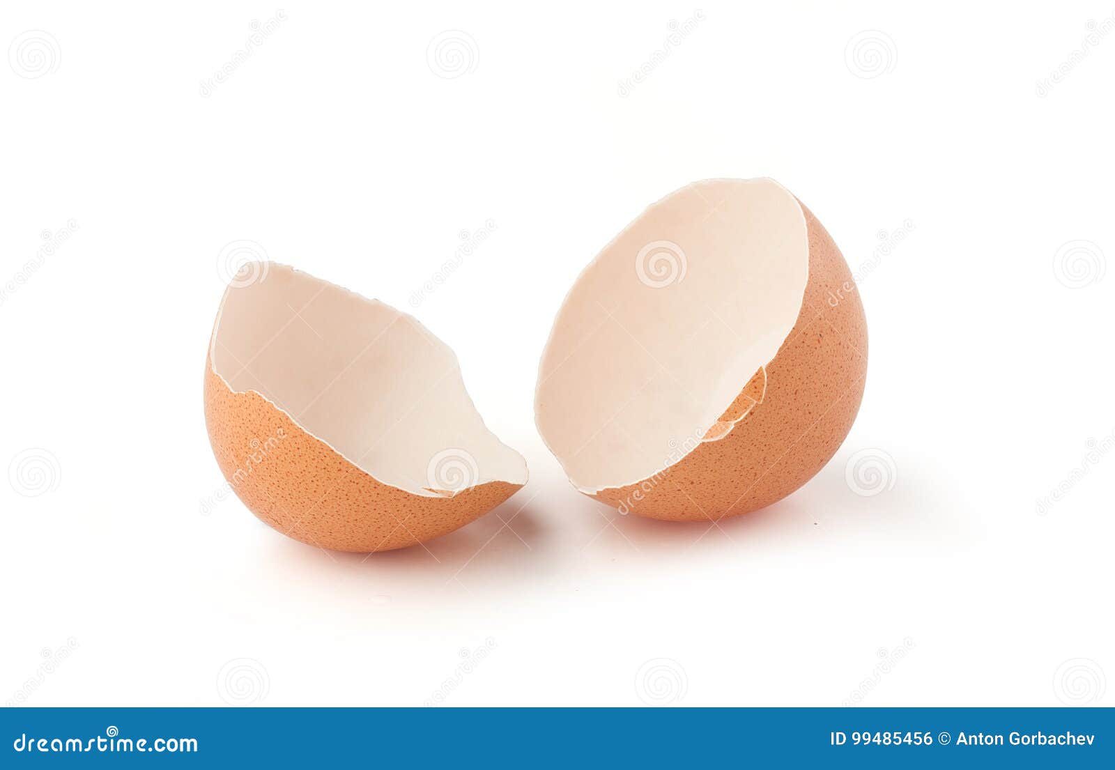 Two Pieces of Broken Eggshell Stock Photo - Image of cook, eggshell ...