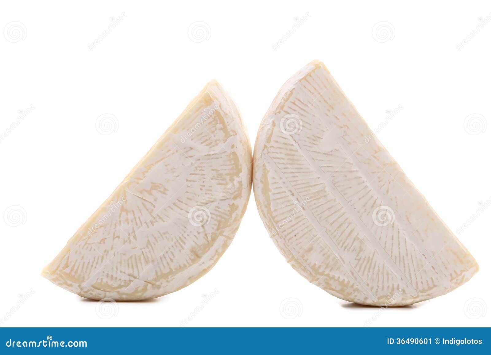 Two pieces of cheese brie. stock image. Image of piece - 36490601
