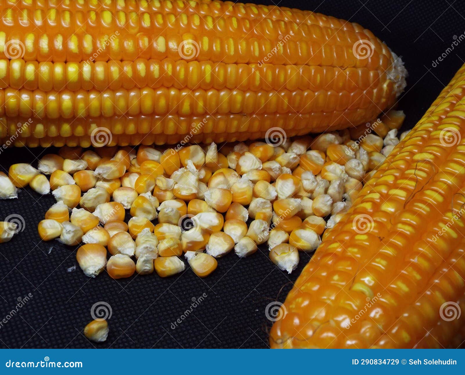 Two Pieces of Corn and Their Scattered Grains Stock Image - Image of ...