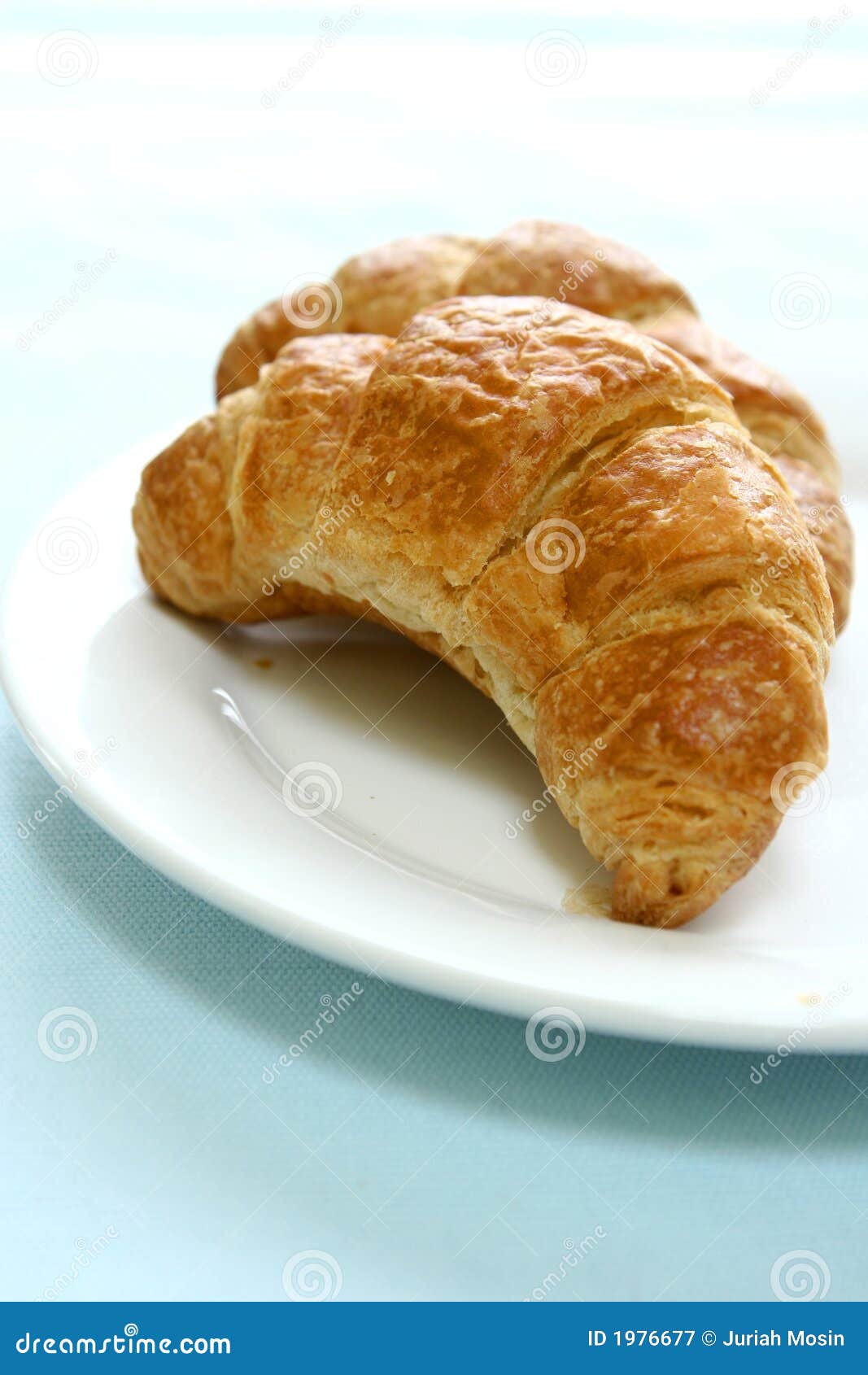 Two Pieces of Freshly Toasted Butter Croissant Stock Image - Image of ...