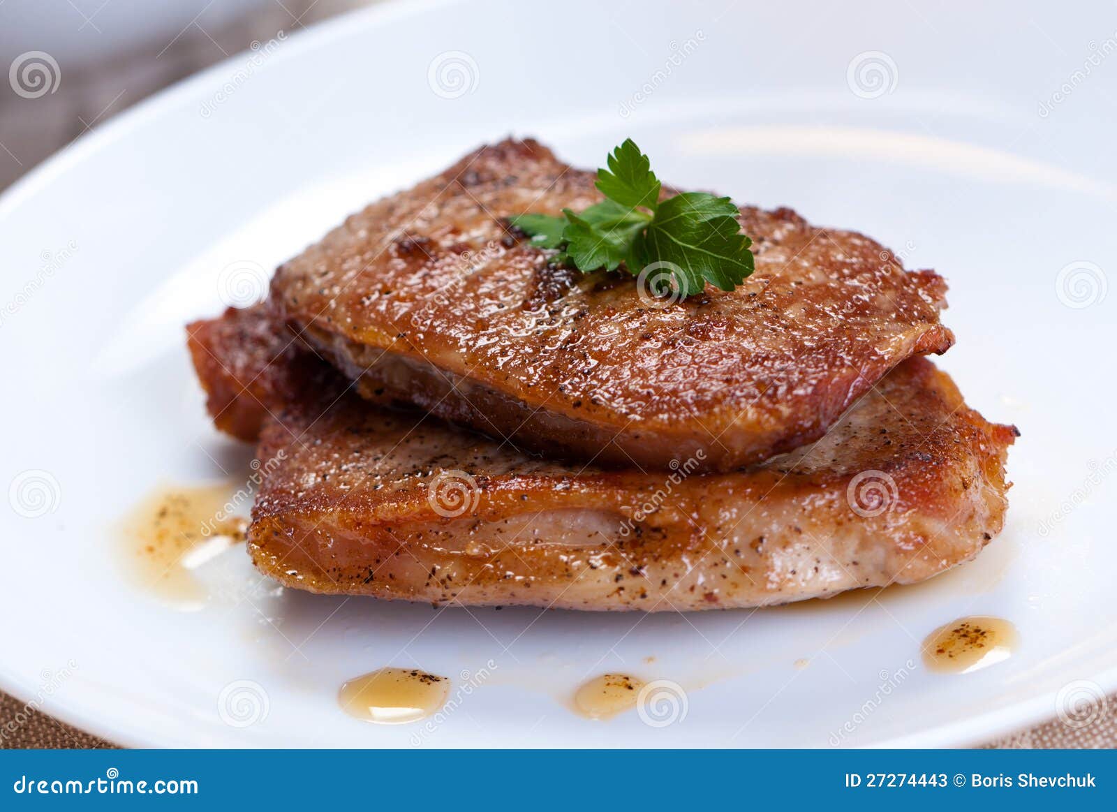 Two pieces of fried meat. stock image. Image of cuisine - 27274443