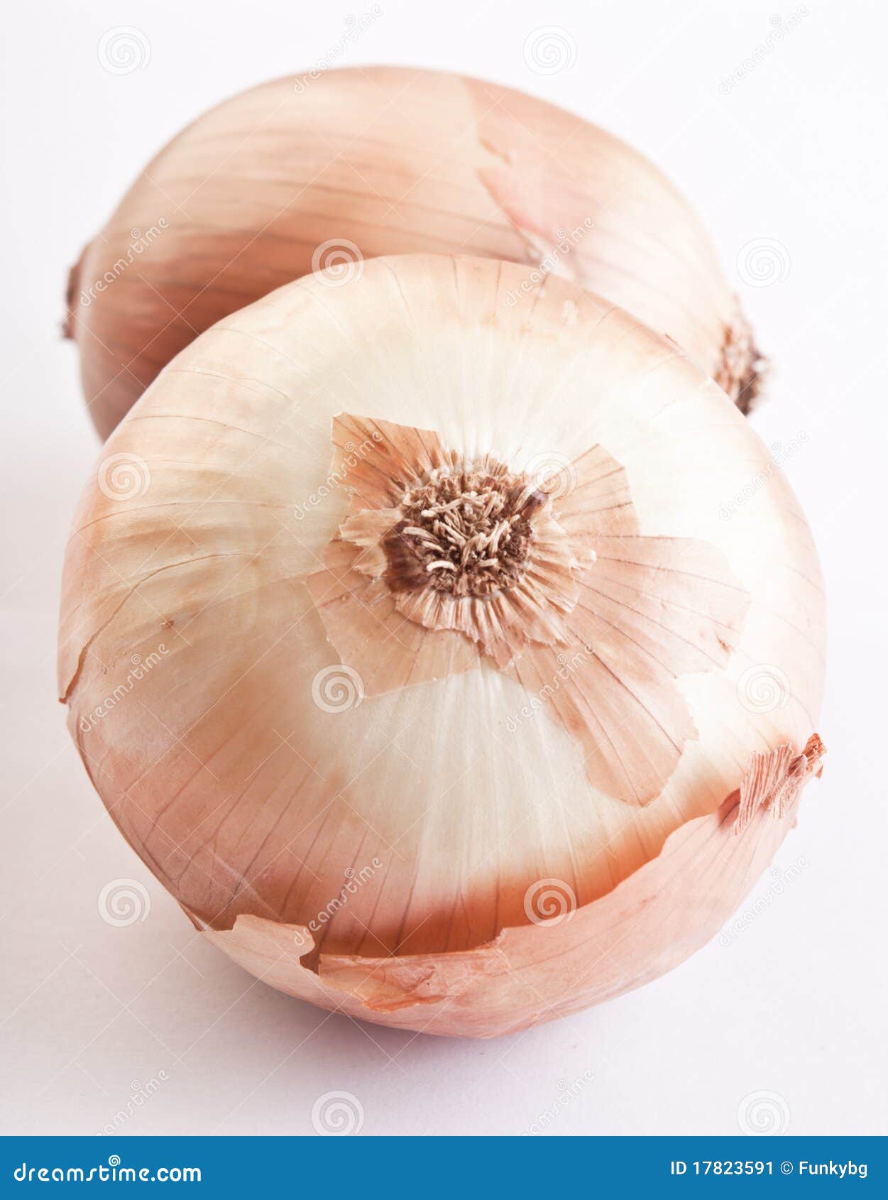 Two pieces of onion stock image. Image of ingredients - 17823591