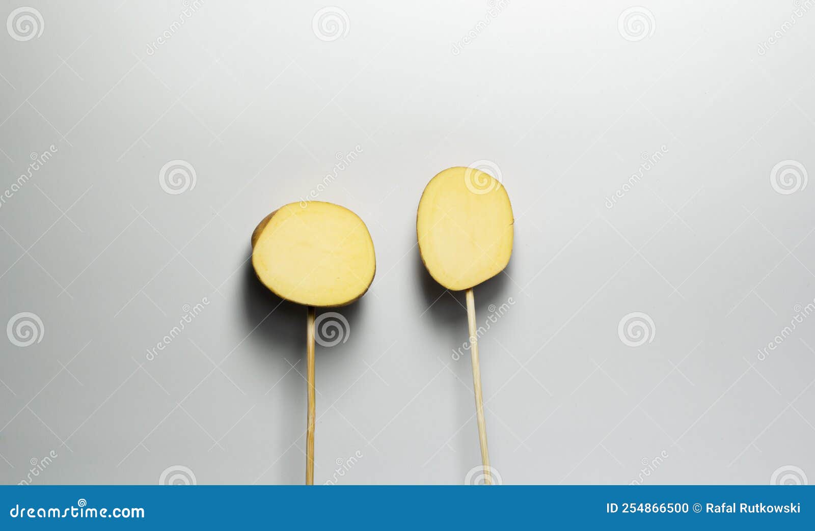 Two Pieces of Potato Stuck on a Stick on a Gray Background Stock Photo ...
