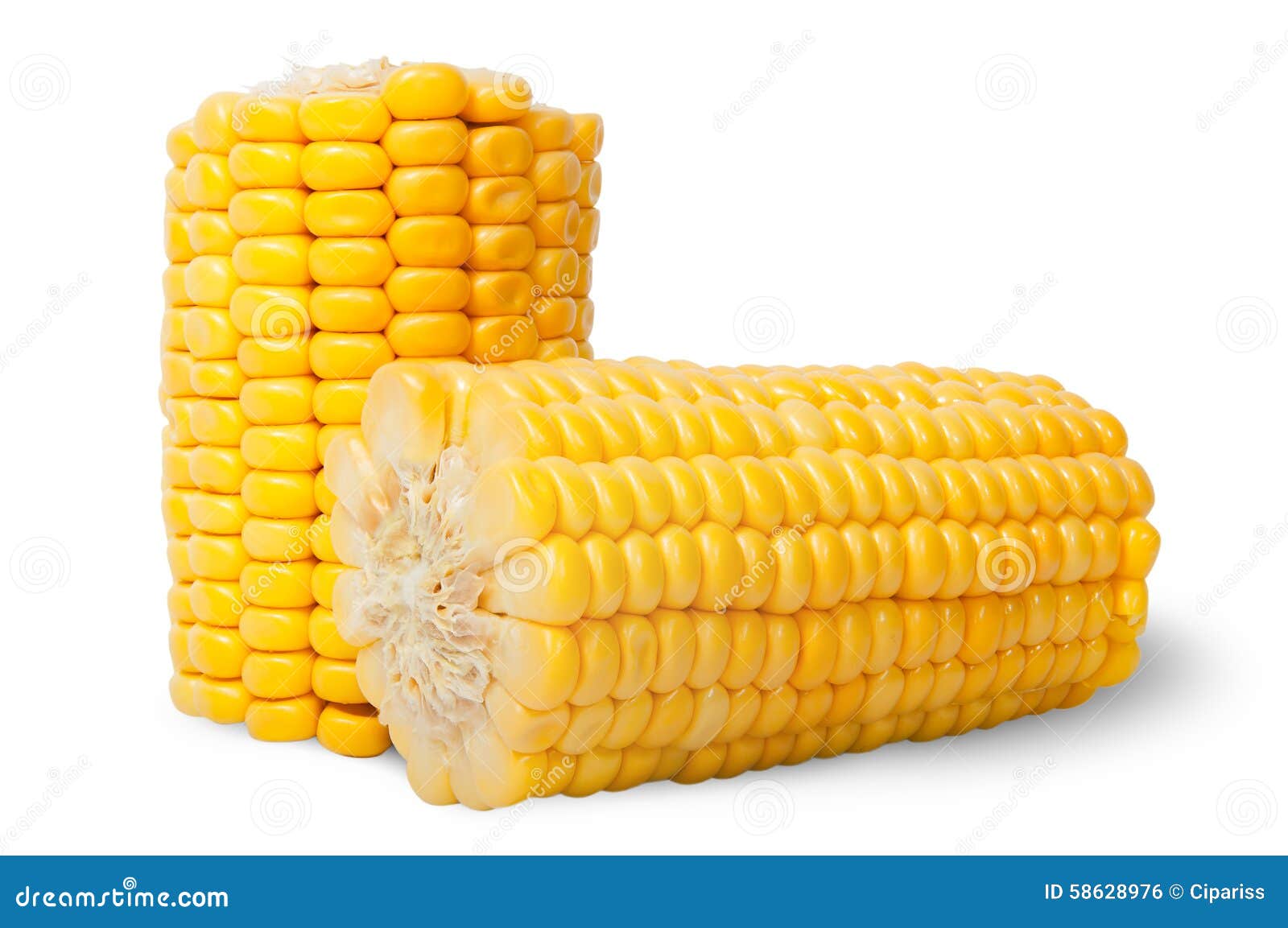 Two Pieces of Ripe Corn Cob Stock Photo - Image of grain, maize: 58628976