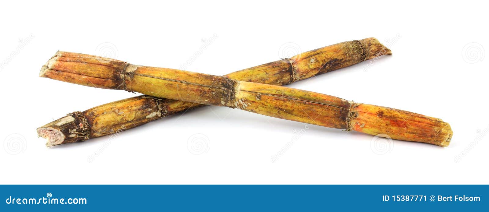 Two Pieces of Sugar Cane Stalks Stock Image - Image of yellow, food ...