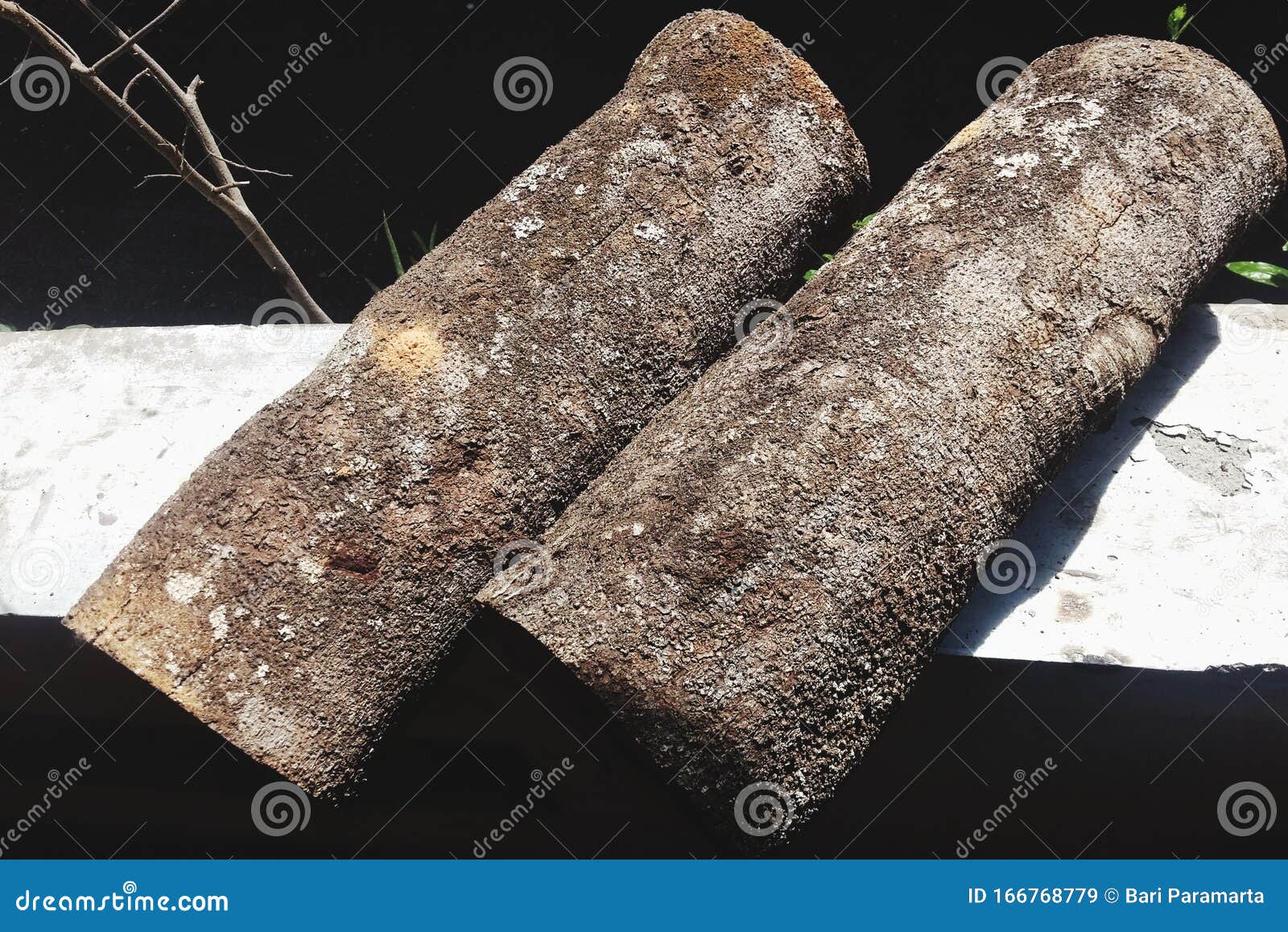 Two Pieces of Tree Trunk with a Natural Rough Texture Stock Image ...