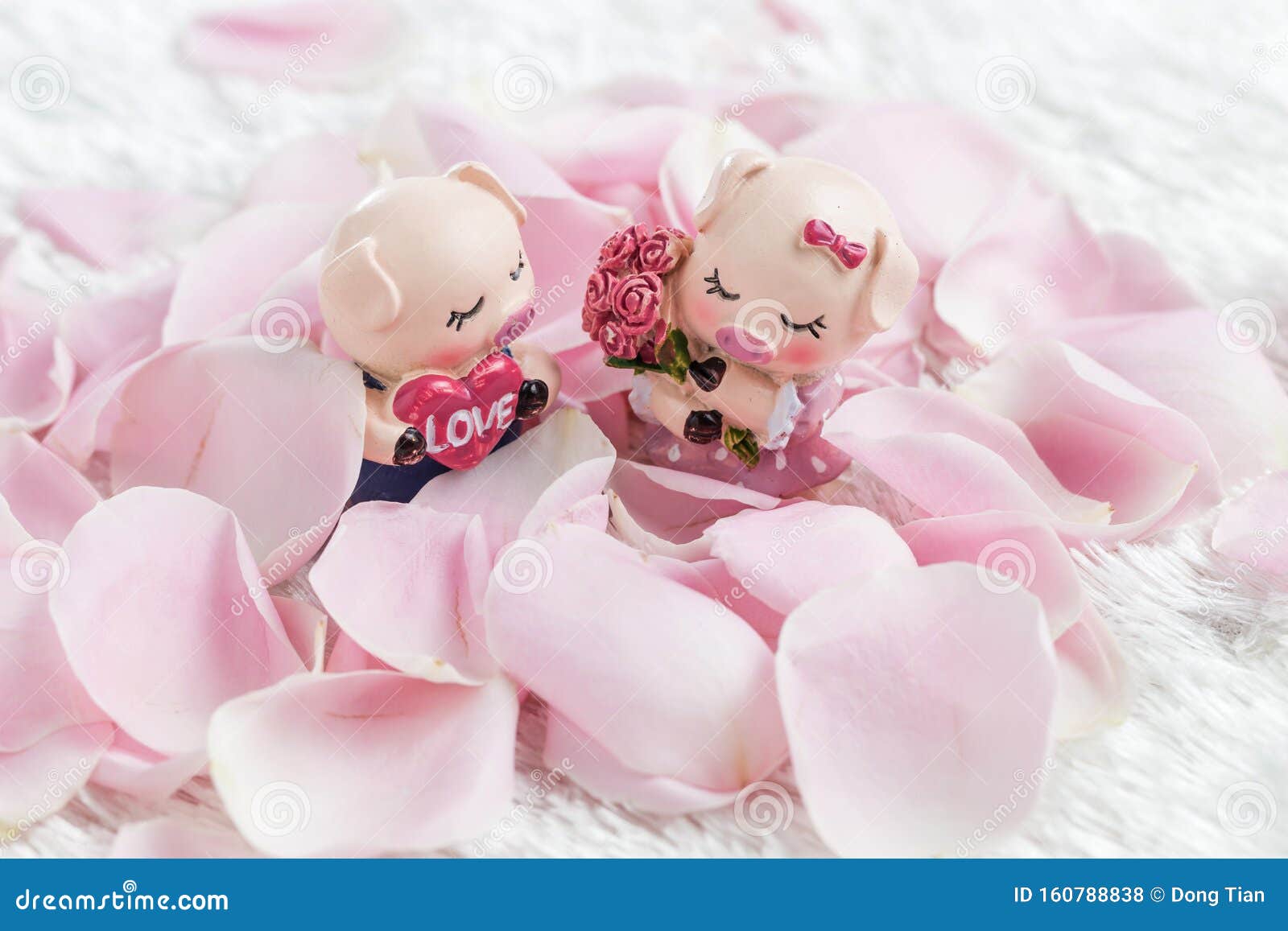 Two Piglets in a Rose Petal Stock Photo - Image of lovers, features ...
