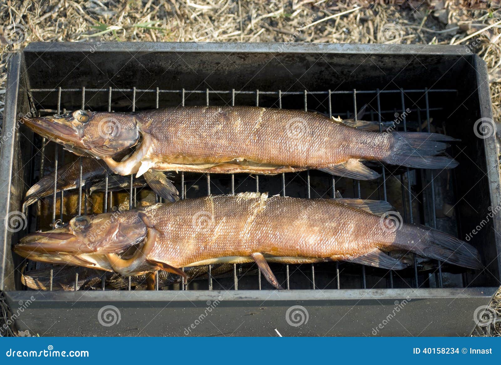 Two pike stock photo. Image of coal, smoking, pike, gutted - 40158234