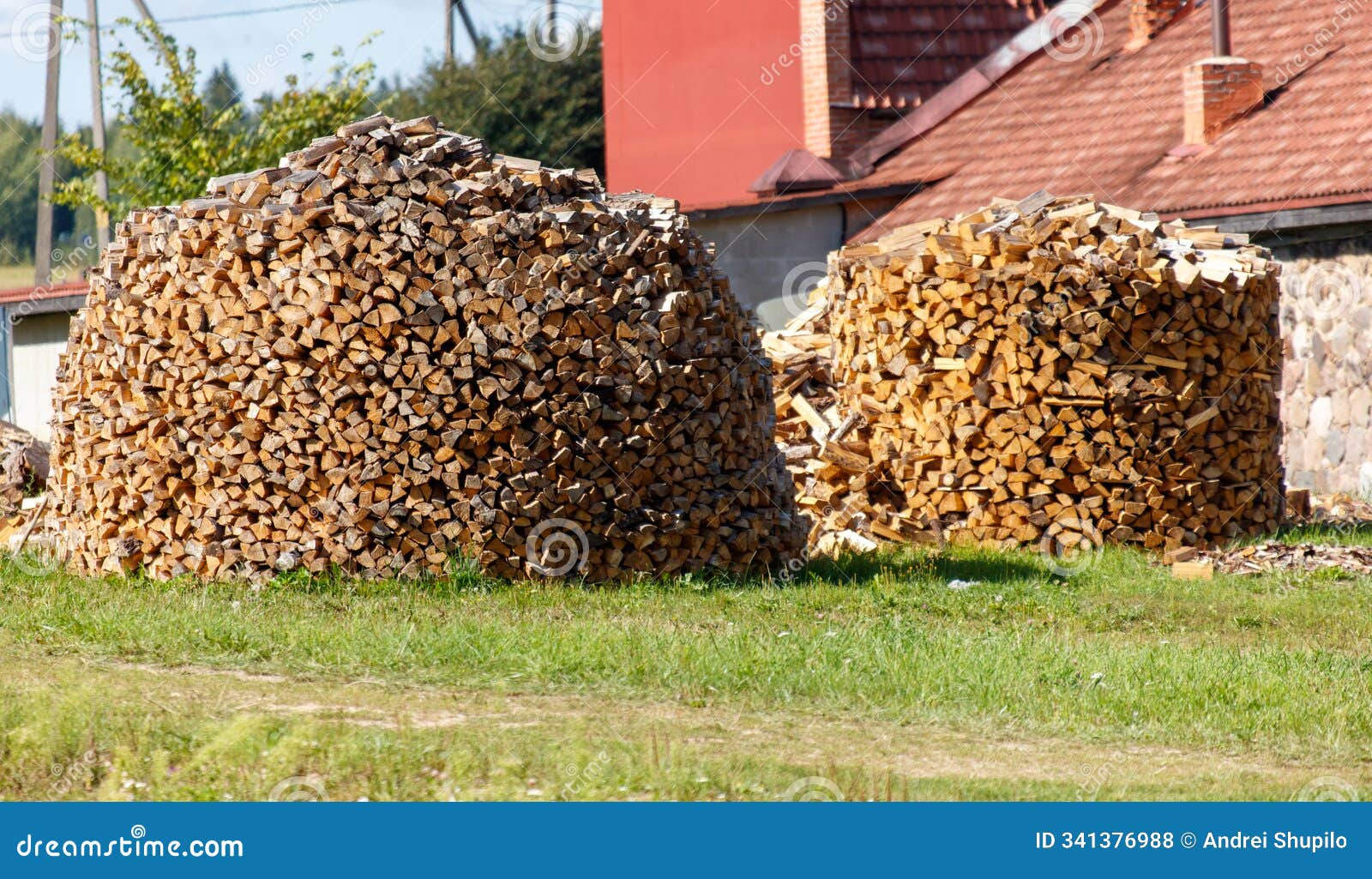 Two Piles of Wood Stacked in a Yard Stock Photo - Image of tree, lumber ...
