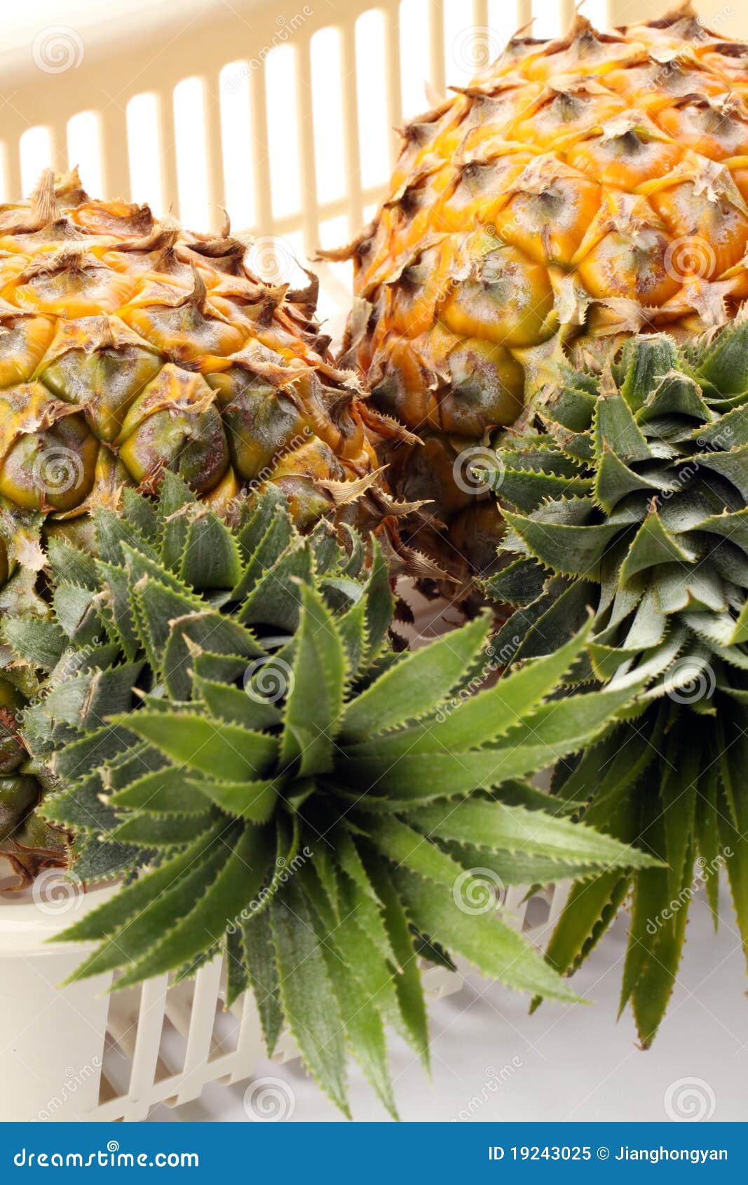 Two pineapple stock image. Image of sweet, agriculture - 19243025