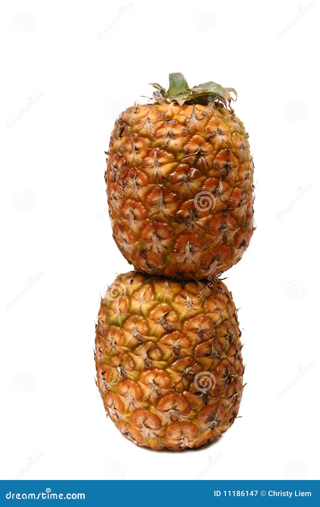 Two pineapples stock image. Image of beach, great, garden - 11186147