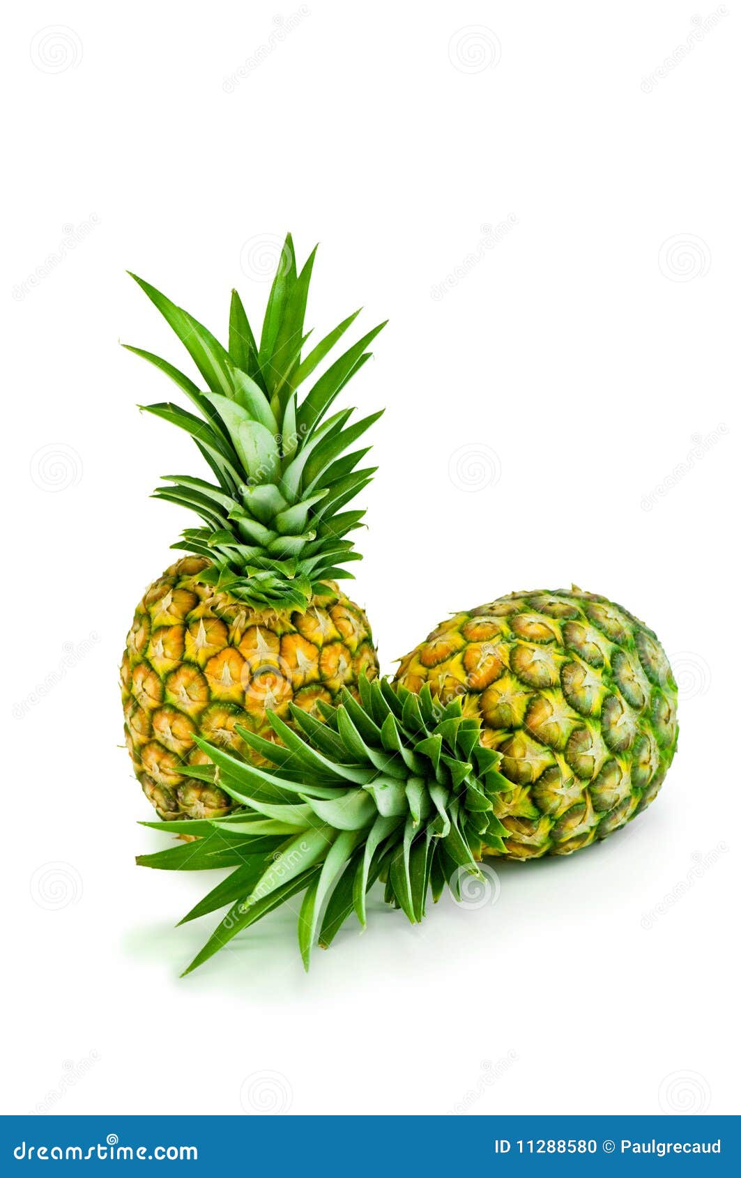 Two pineapples stock photo. Image of nutrition, gourmet - 11288580